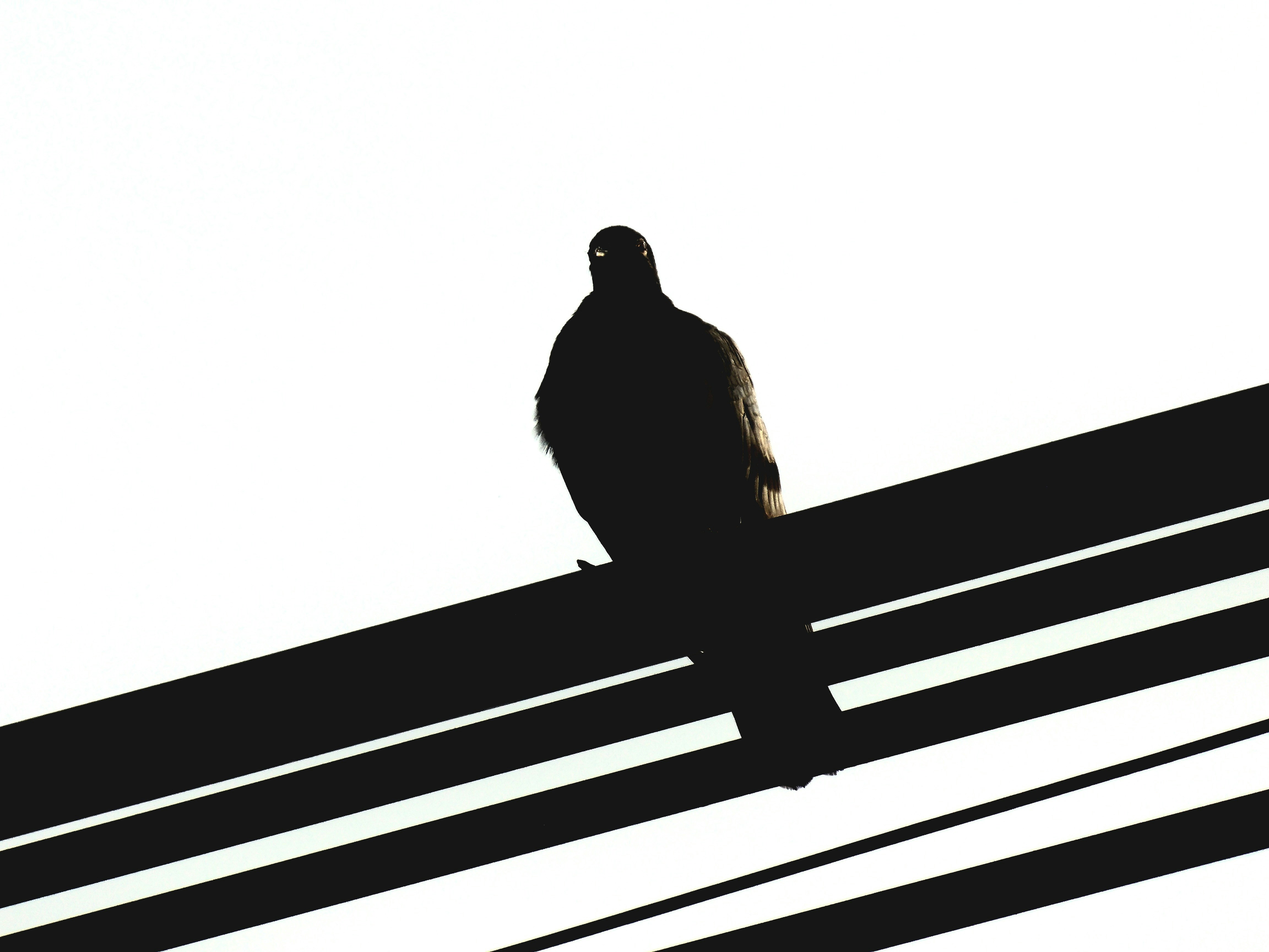 Photo by Muhammed Faizan Hussain with Nikon Coolpix L320