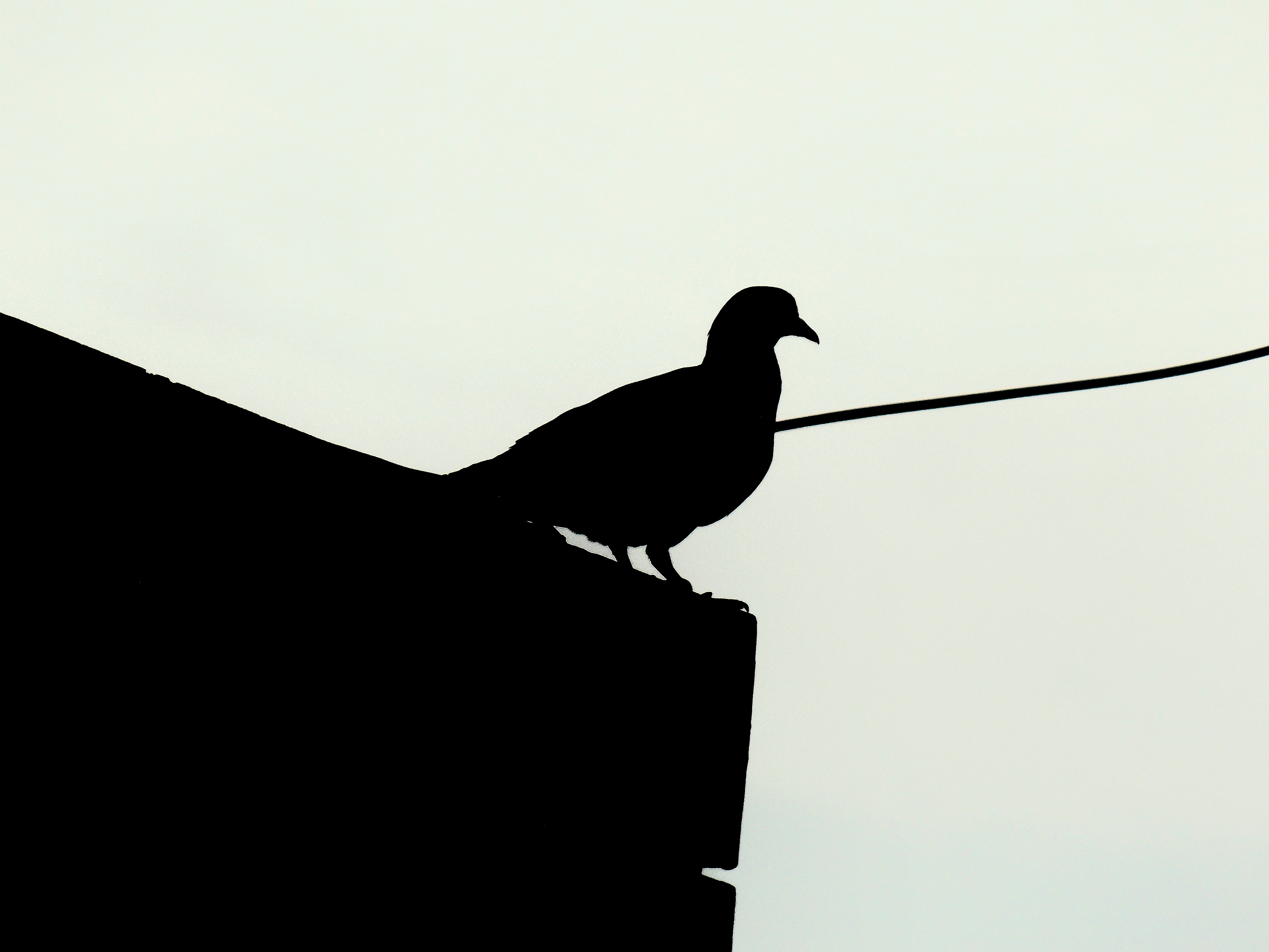 Photo by Muhammed Faizan Hussain with Nikon Coolpix L320