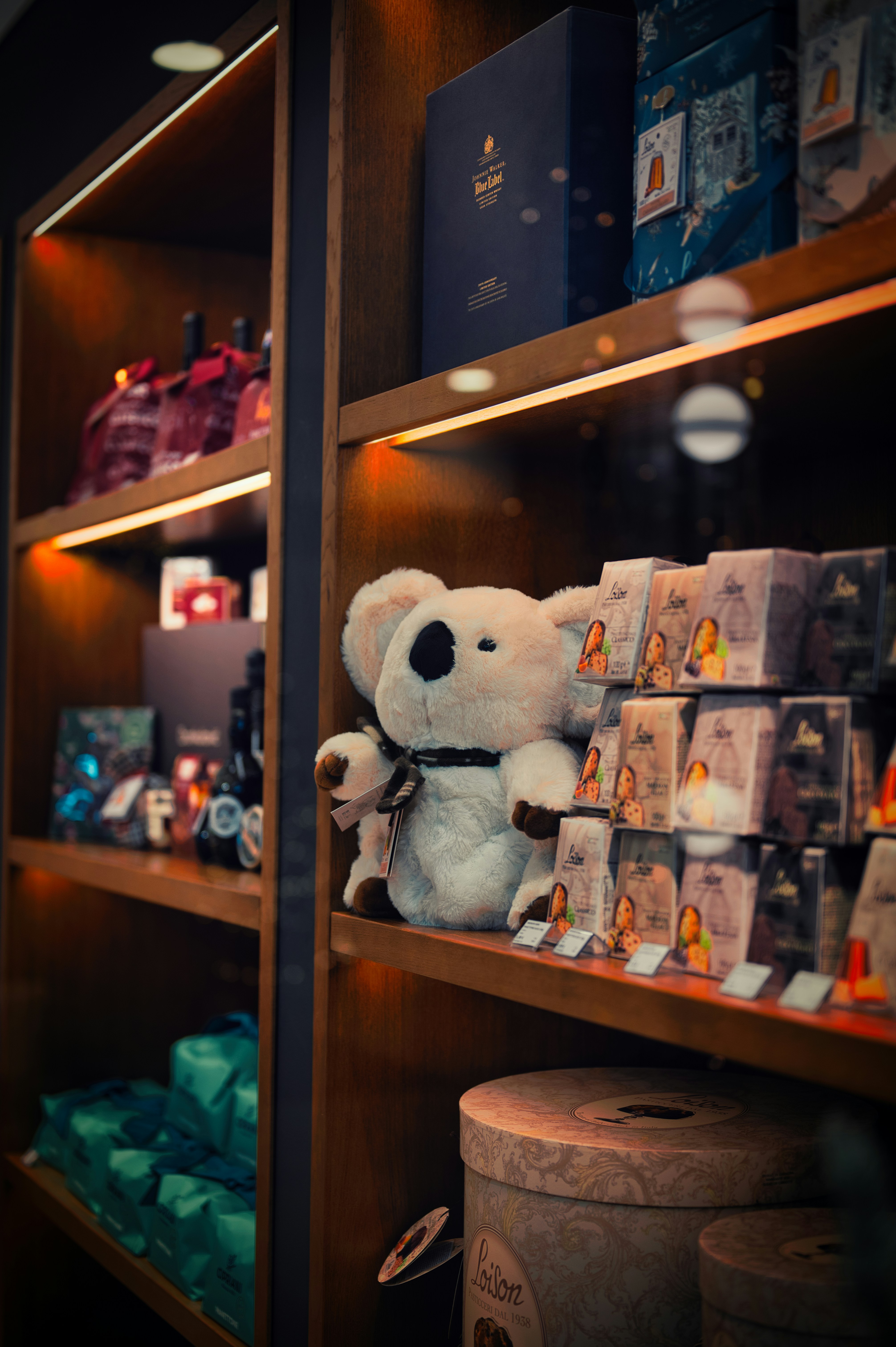 Plush koala surrounded by neatly arranged gift boxes on illuminated wooden shelves.