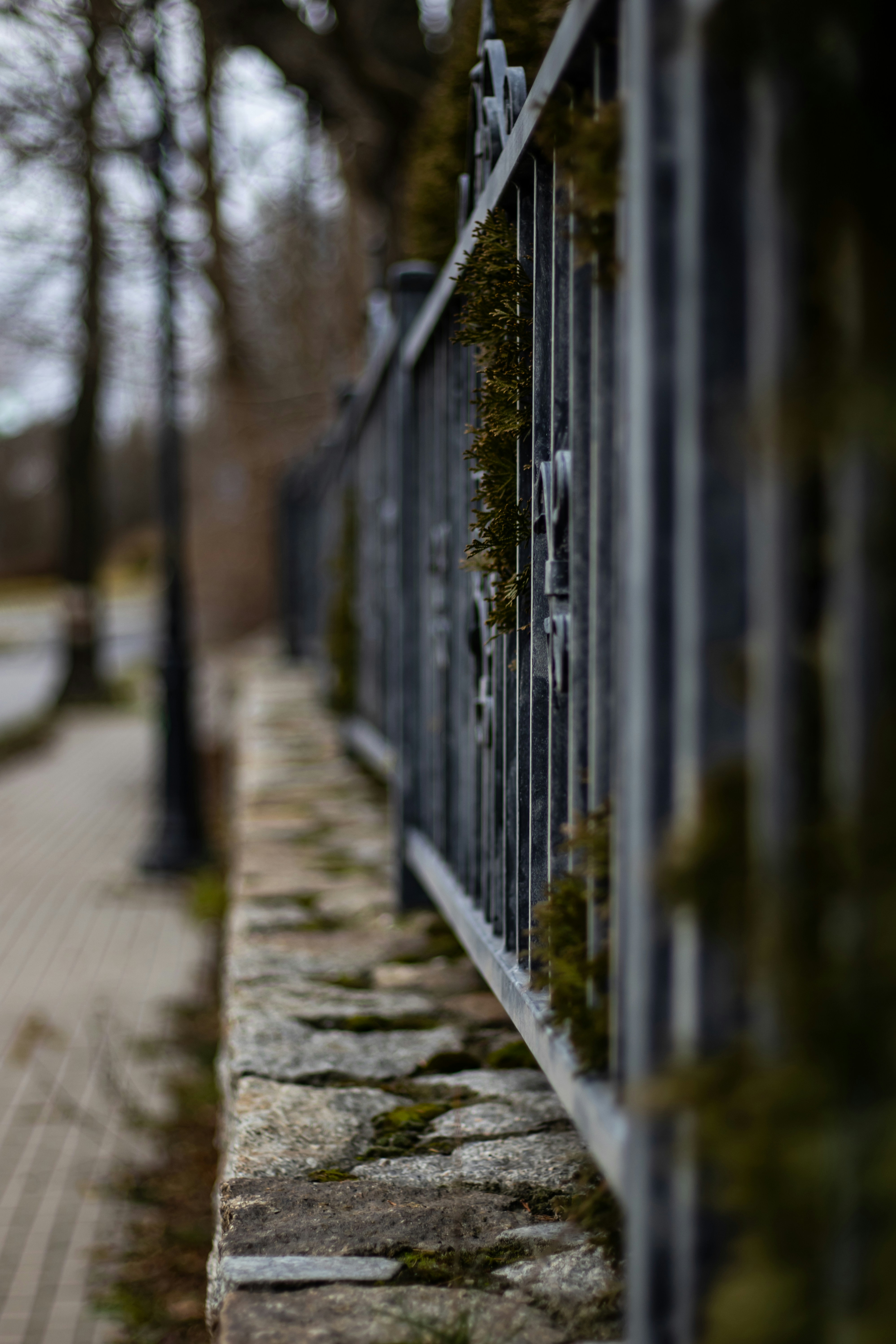 Moss-Cloaked Iron Railings: Quiet Path Along a Weathered Wall