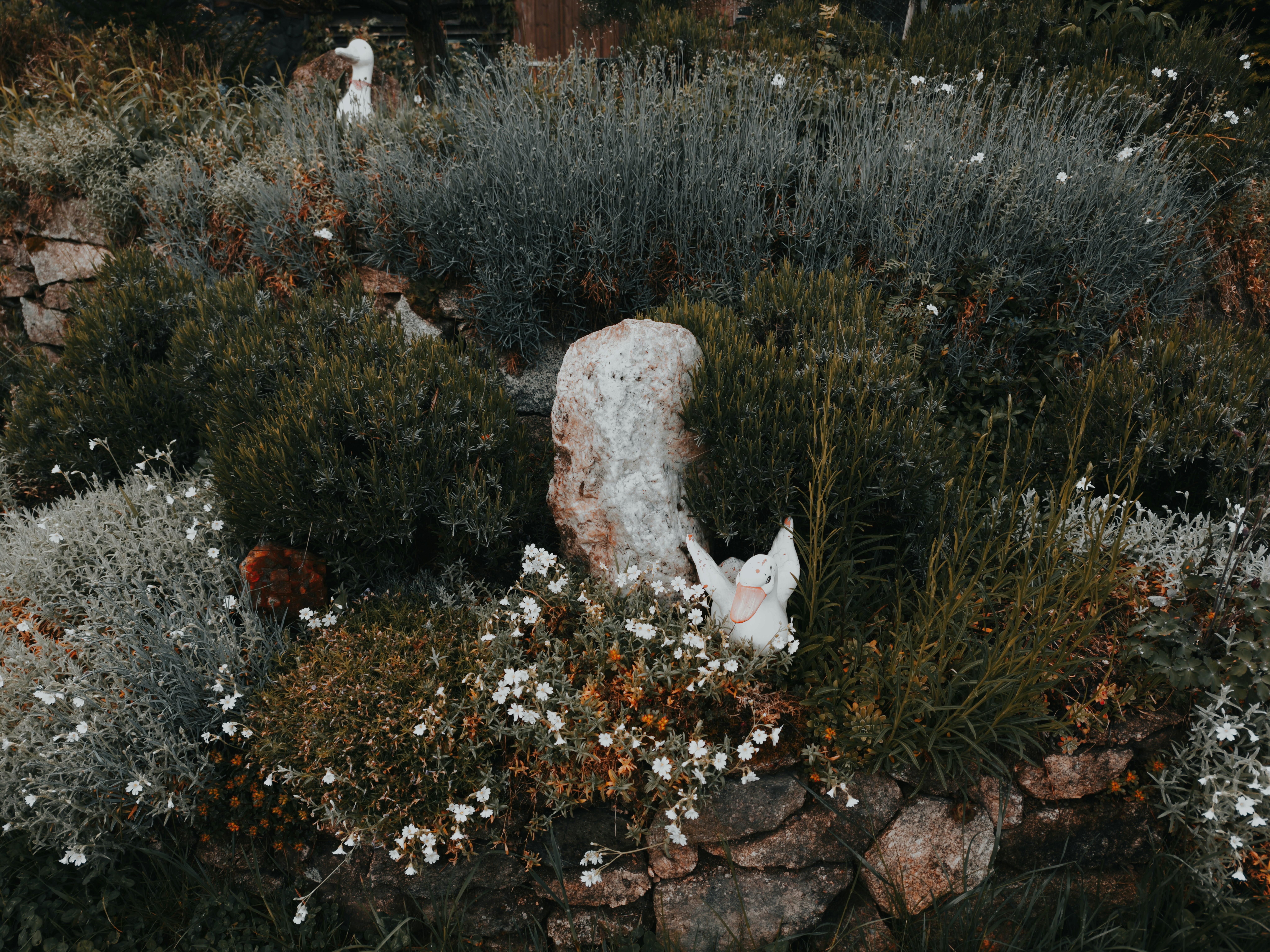 Tall central stone rises among a bed of mixed shrubs and white blossoms in a rocky garden. The composition highlights texture, color contrast, and a subtle garden sculpture nestled in the flora.