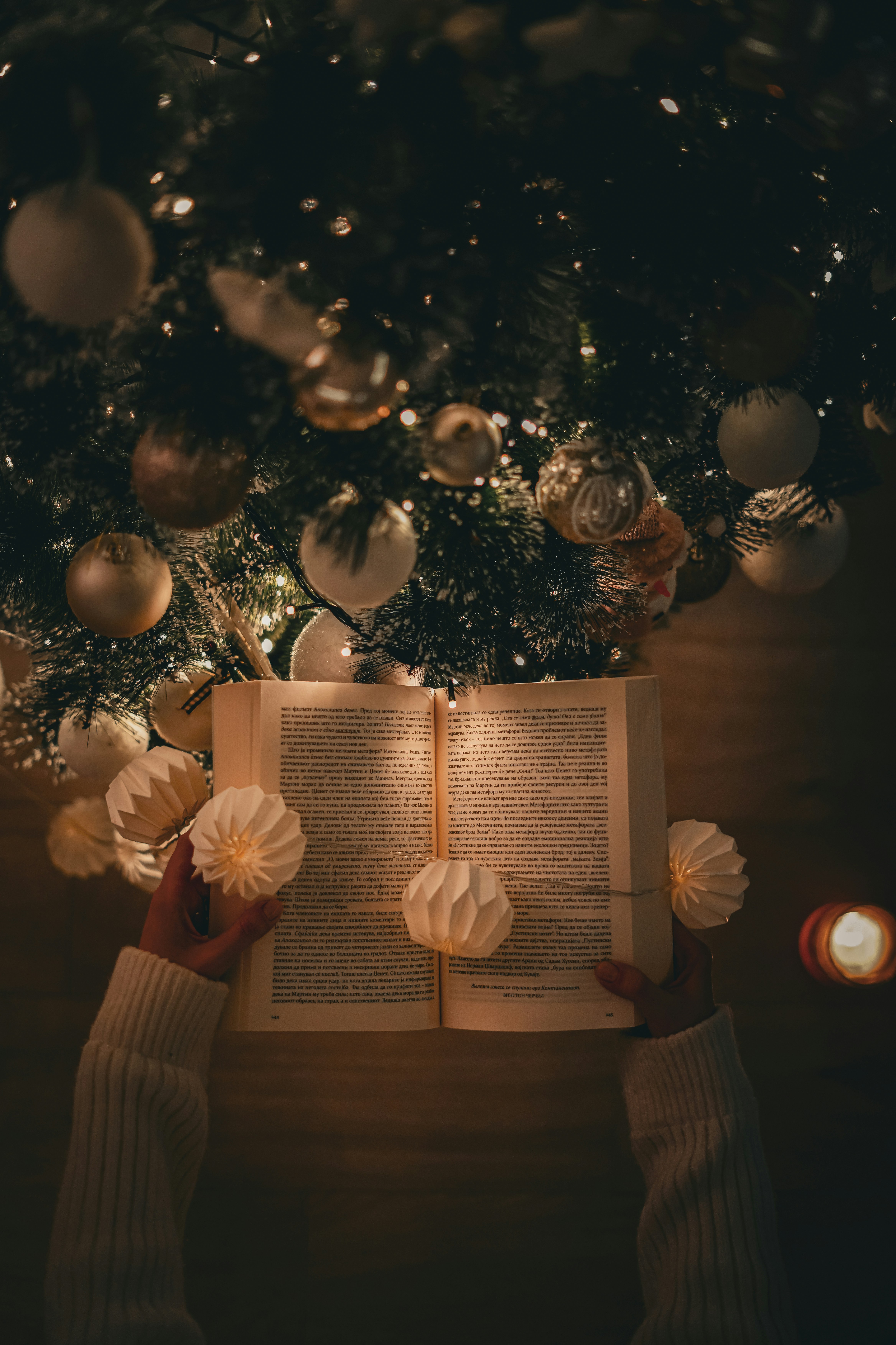 Under the Christmas Tree, A Book Finds Its Warm Light
