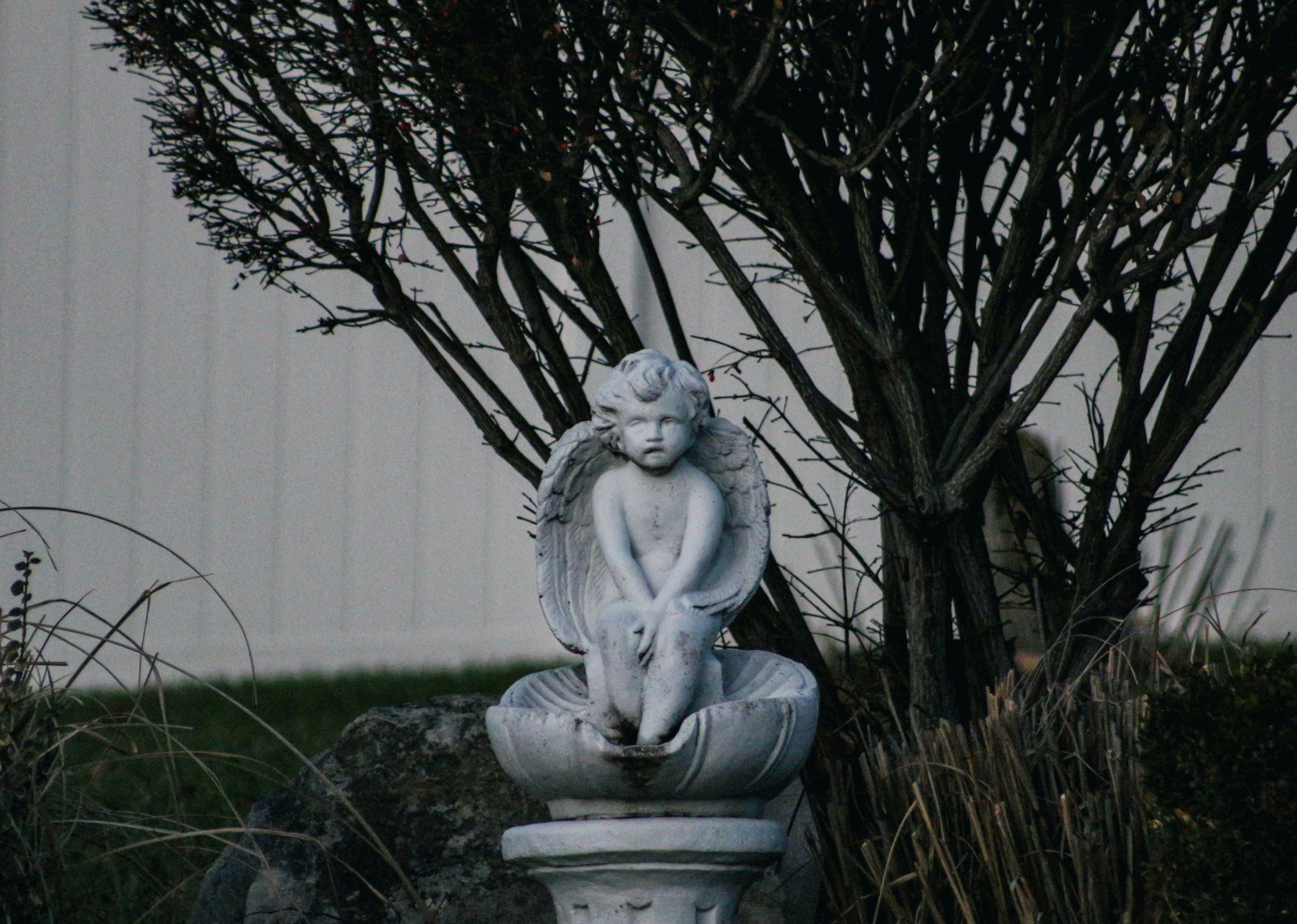 Photo by Veronica with Canon EOS 100D