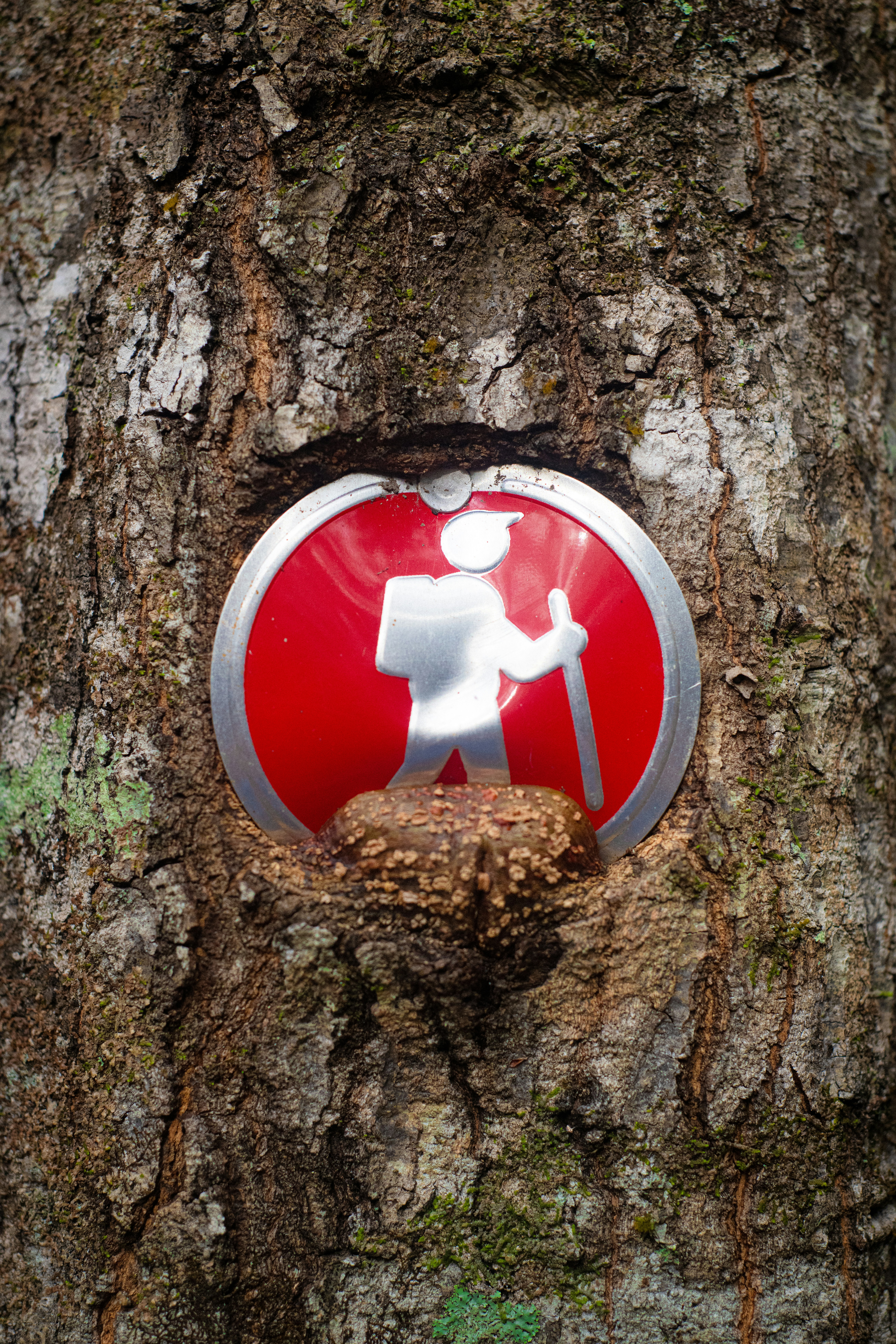 Photo by Mack Criswell with Nikon D850