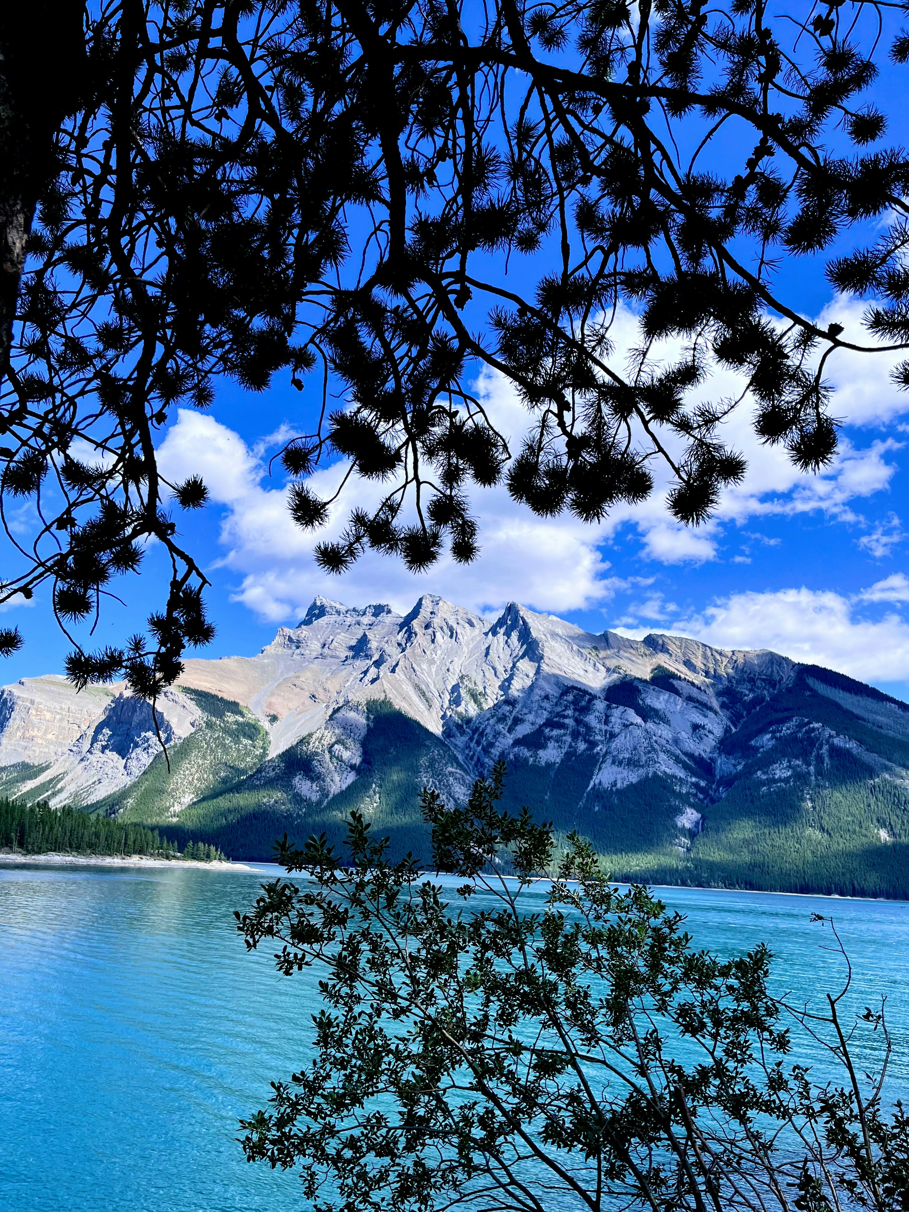 Majestic mountains rise above a serene turquoise lake, framed by branches of evergreen trees under a bright blue sky.