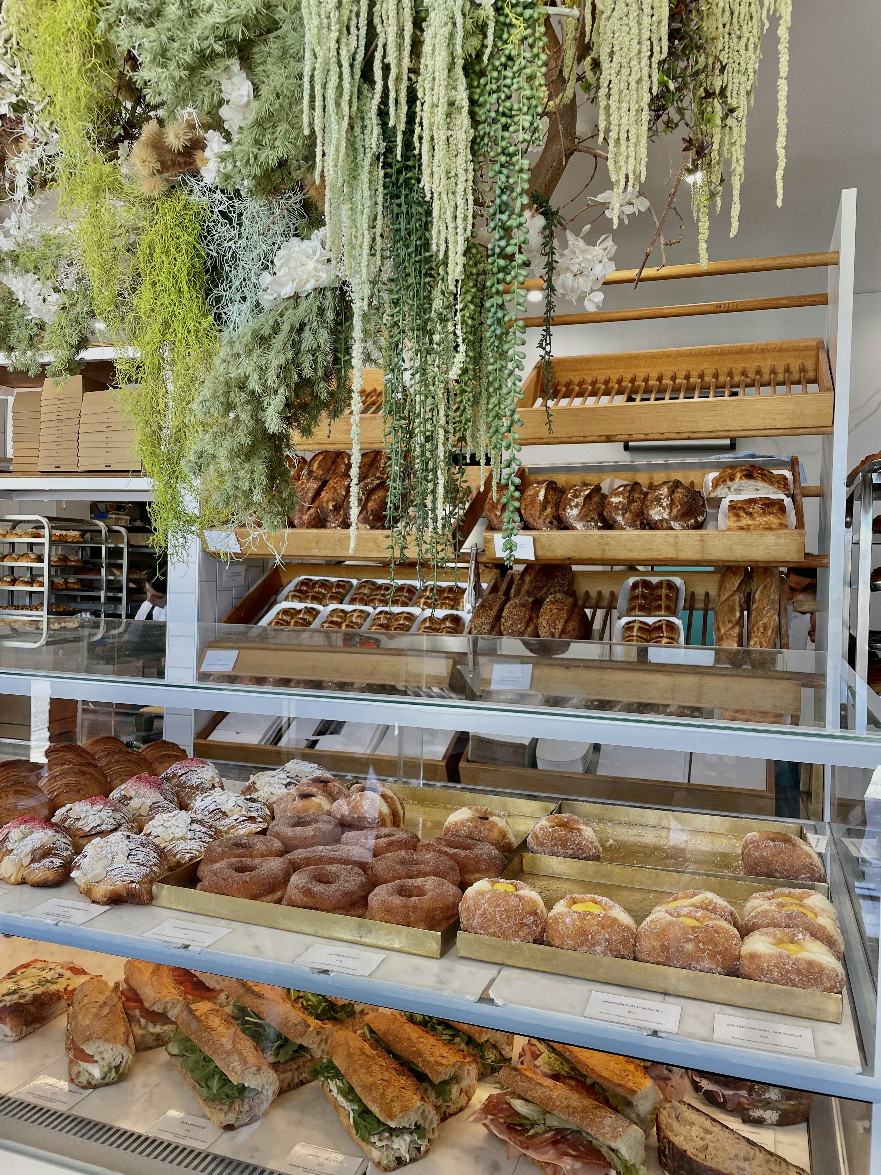 Assorted breads and pastries displayed in a bakery cabinet beneath lush hanging greenery.