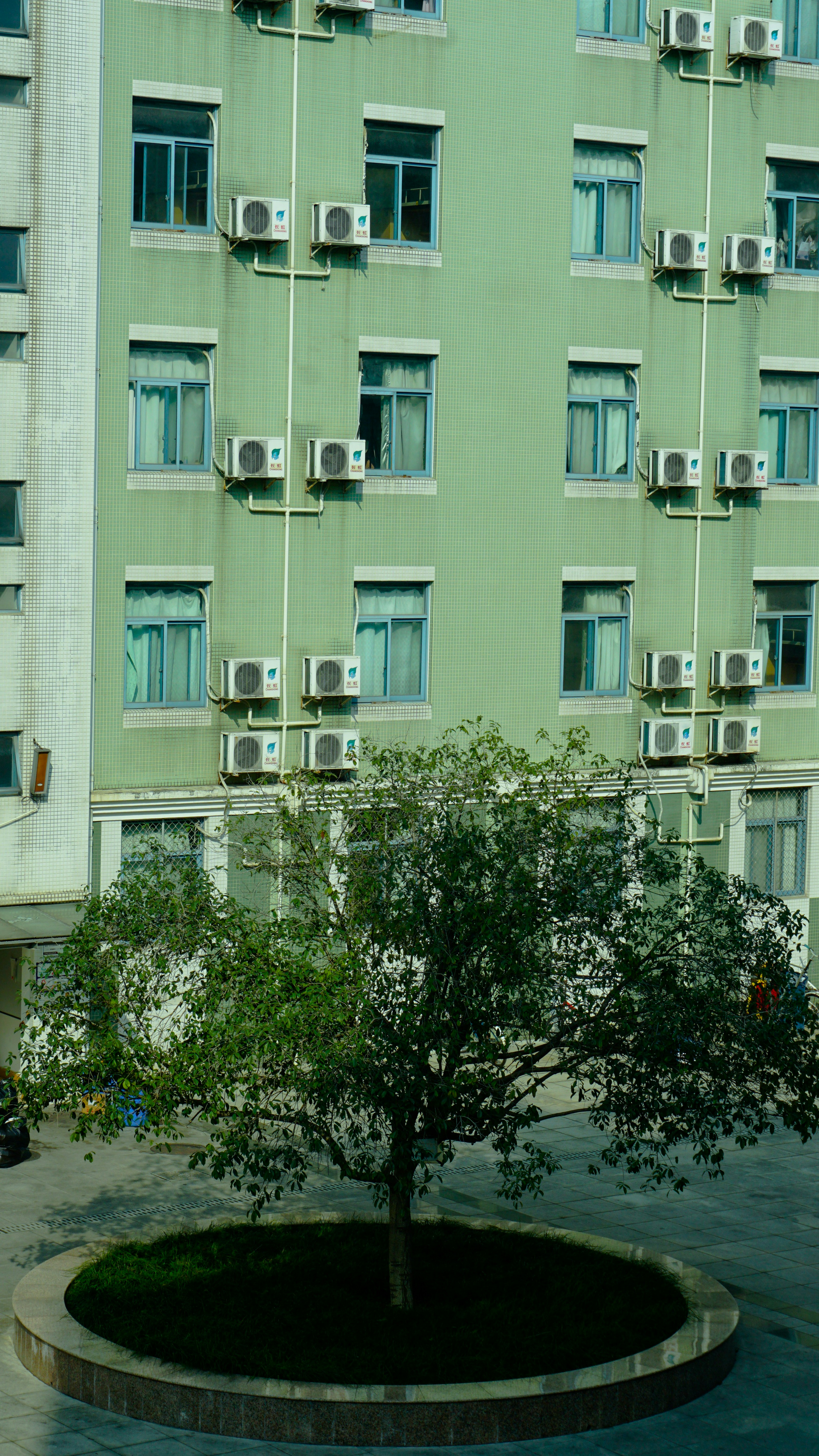 Mint Green Facade, Uniform AC Units, and a Central Tree in a Circular Planter