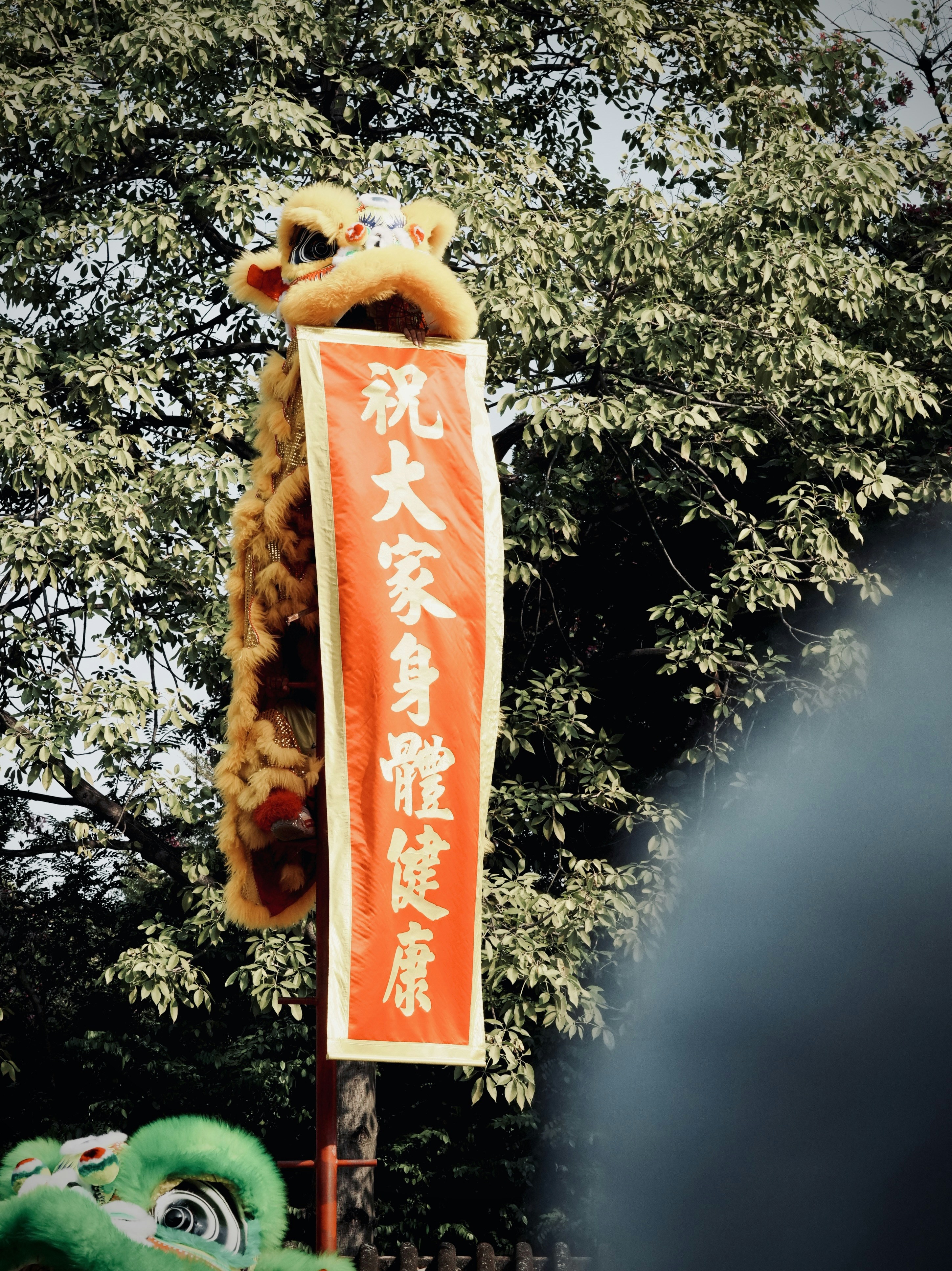 Photo by 安 崔士 with Sony Alpha 7R V