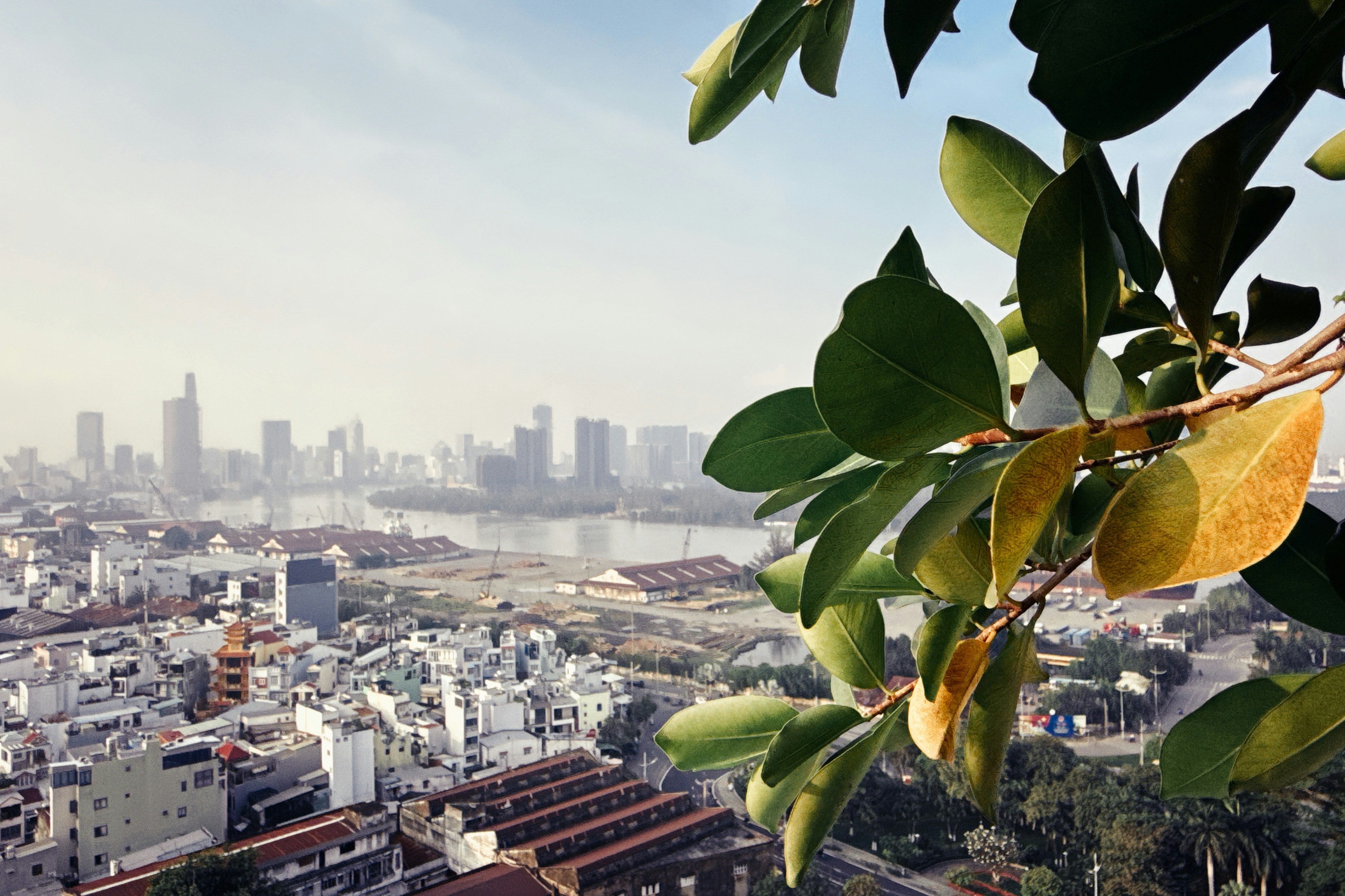 A view of a city from a high point of view photo – Free Food Image on ...