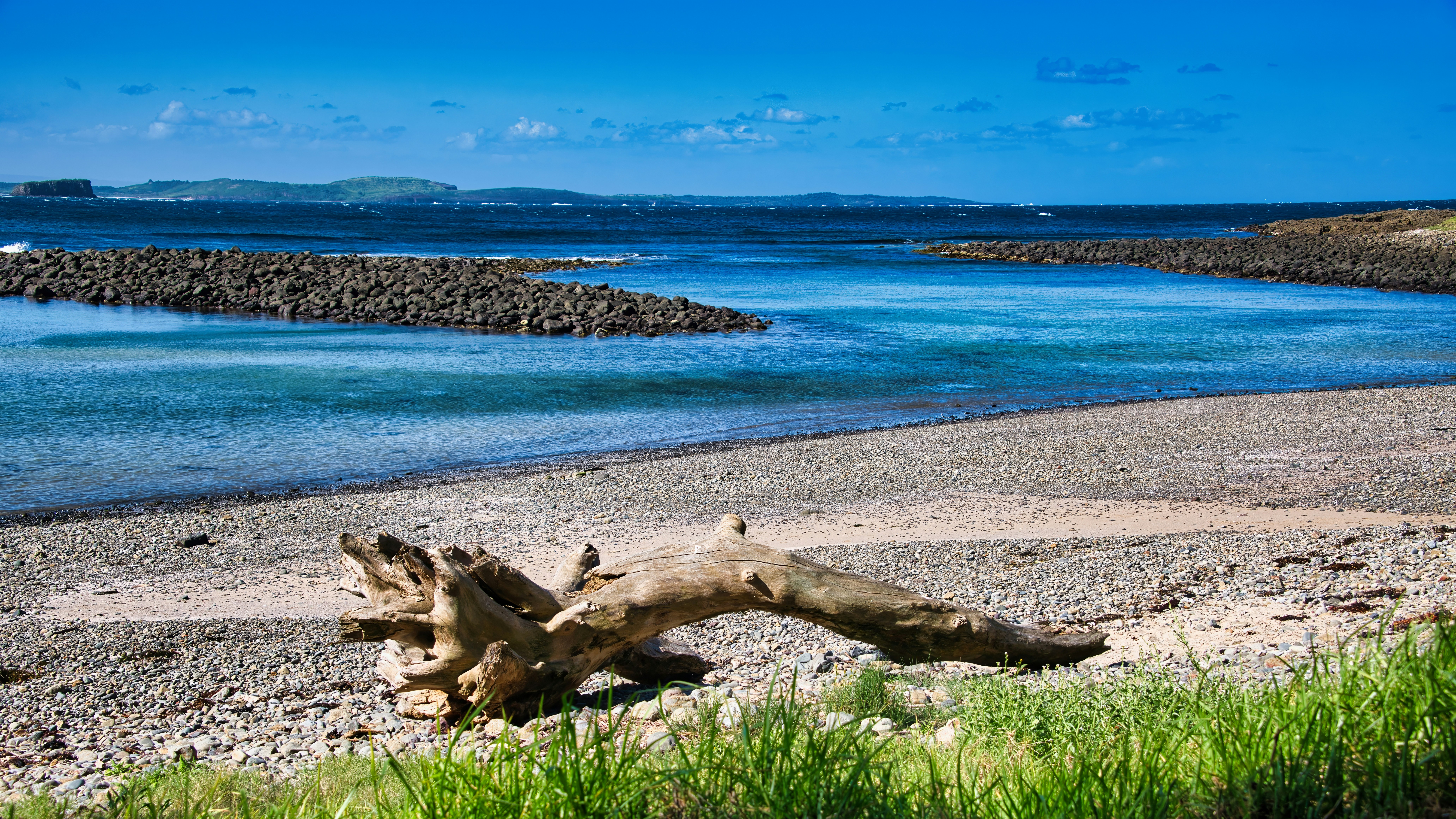 Driftwood Sentinel on a Pebble Beach Framed by Turquoise Waters