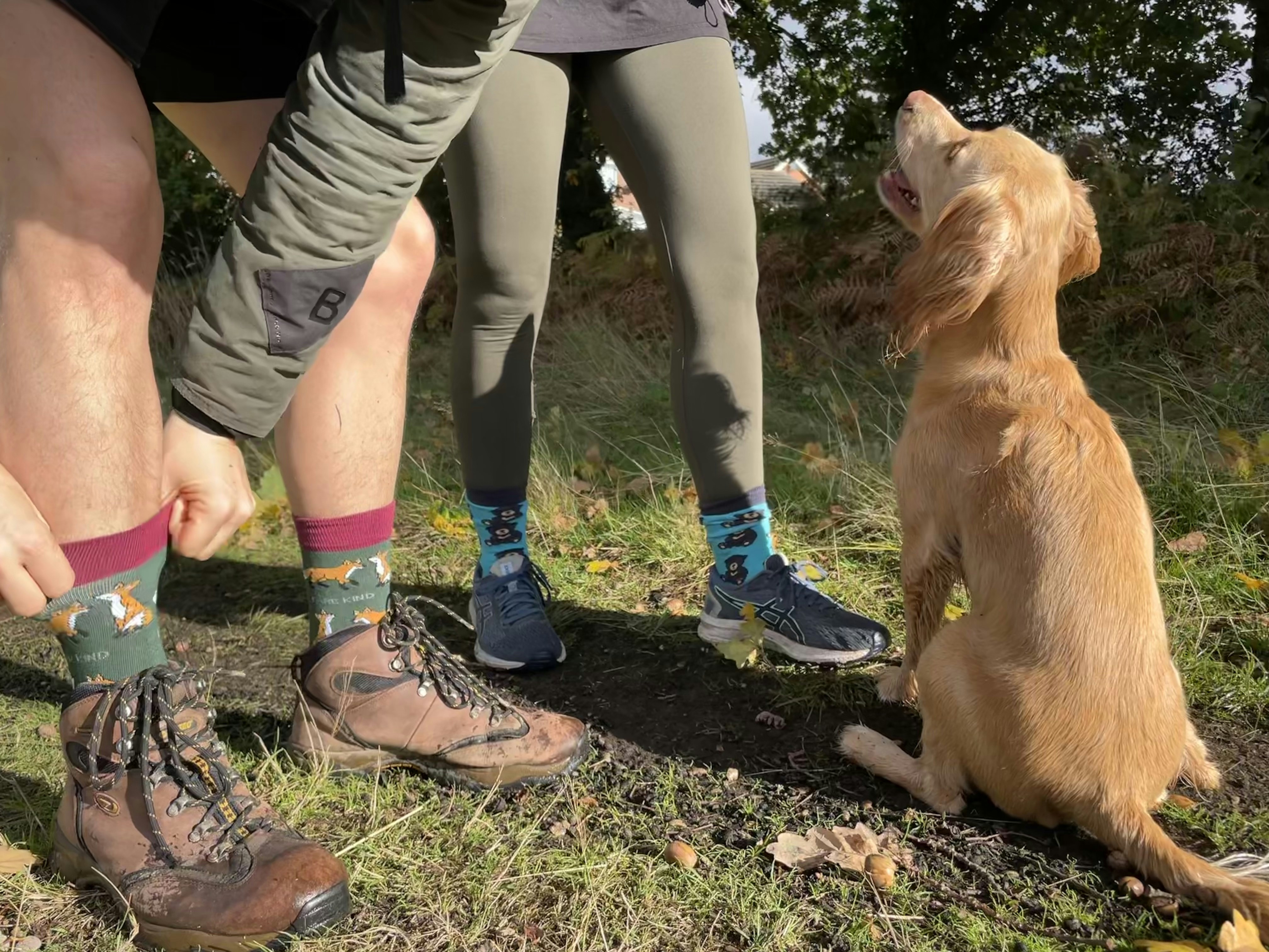 Outdoor Bond: Feet, Legs, and a Golden Retriever