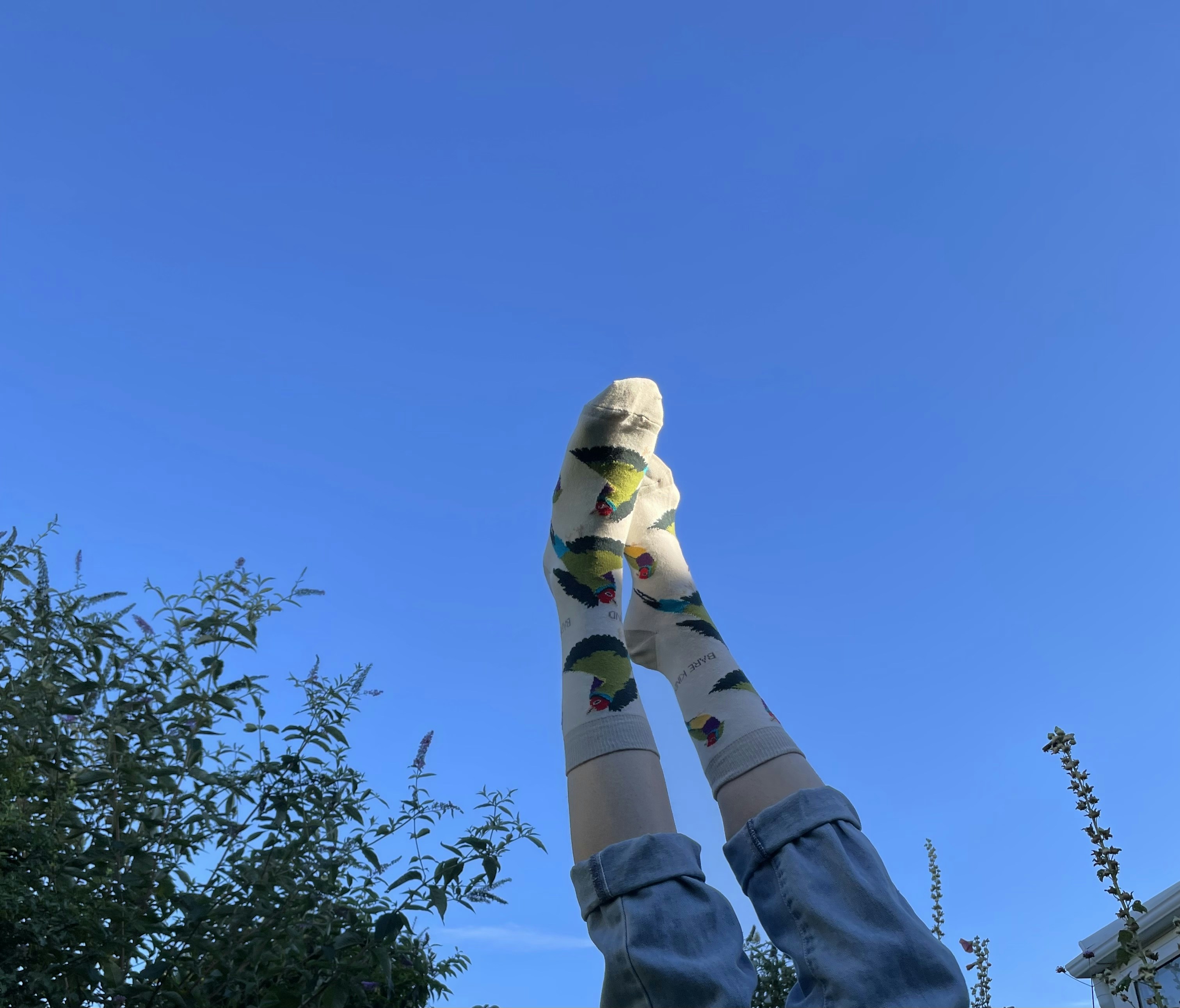 Feet in the Sky: Sunny Socks Above a Blue Day