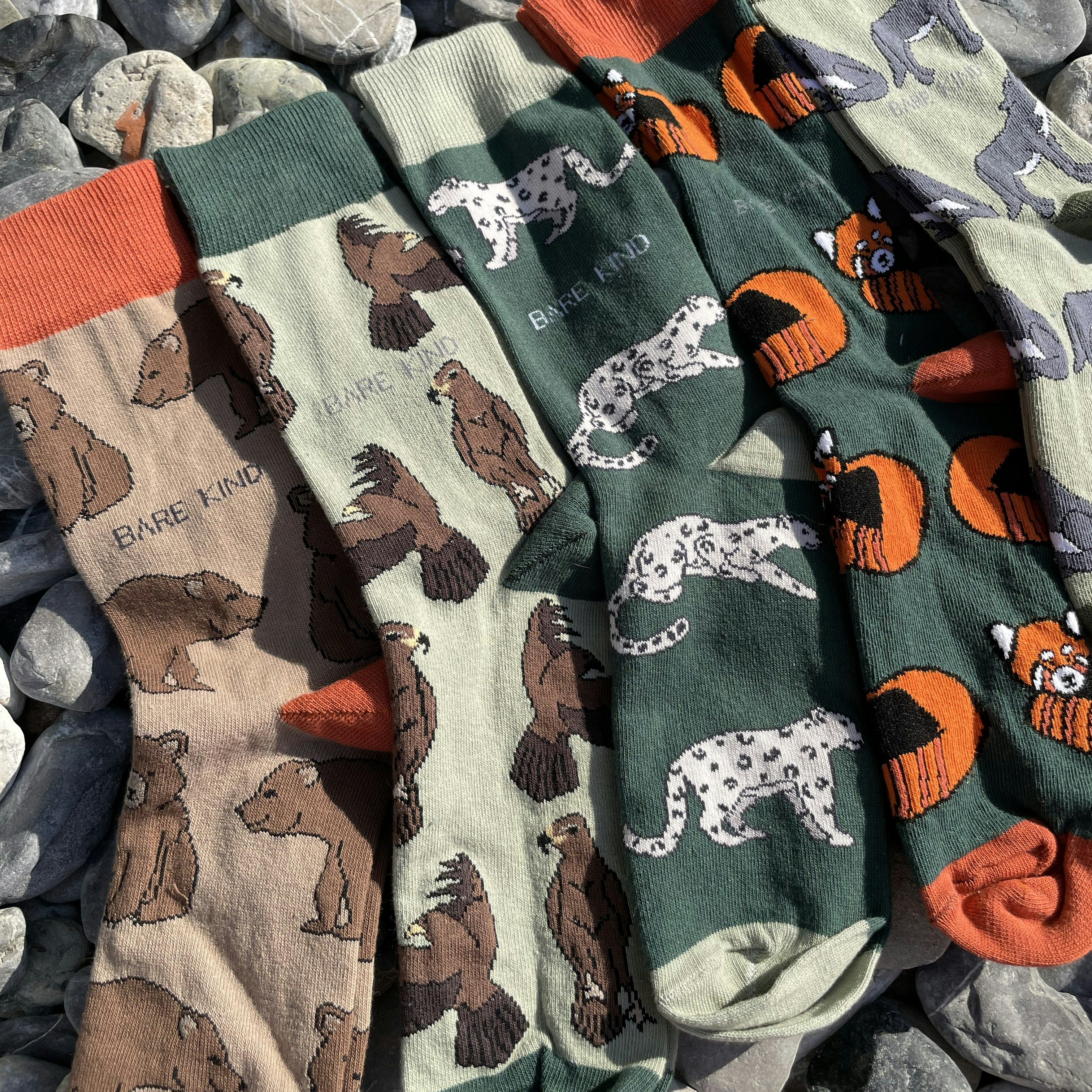 Patterned Sock Parade: Bears, Cats, and Tigers in Cozy Color Blocks