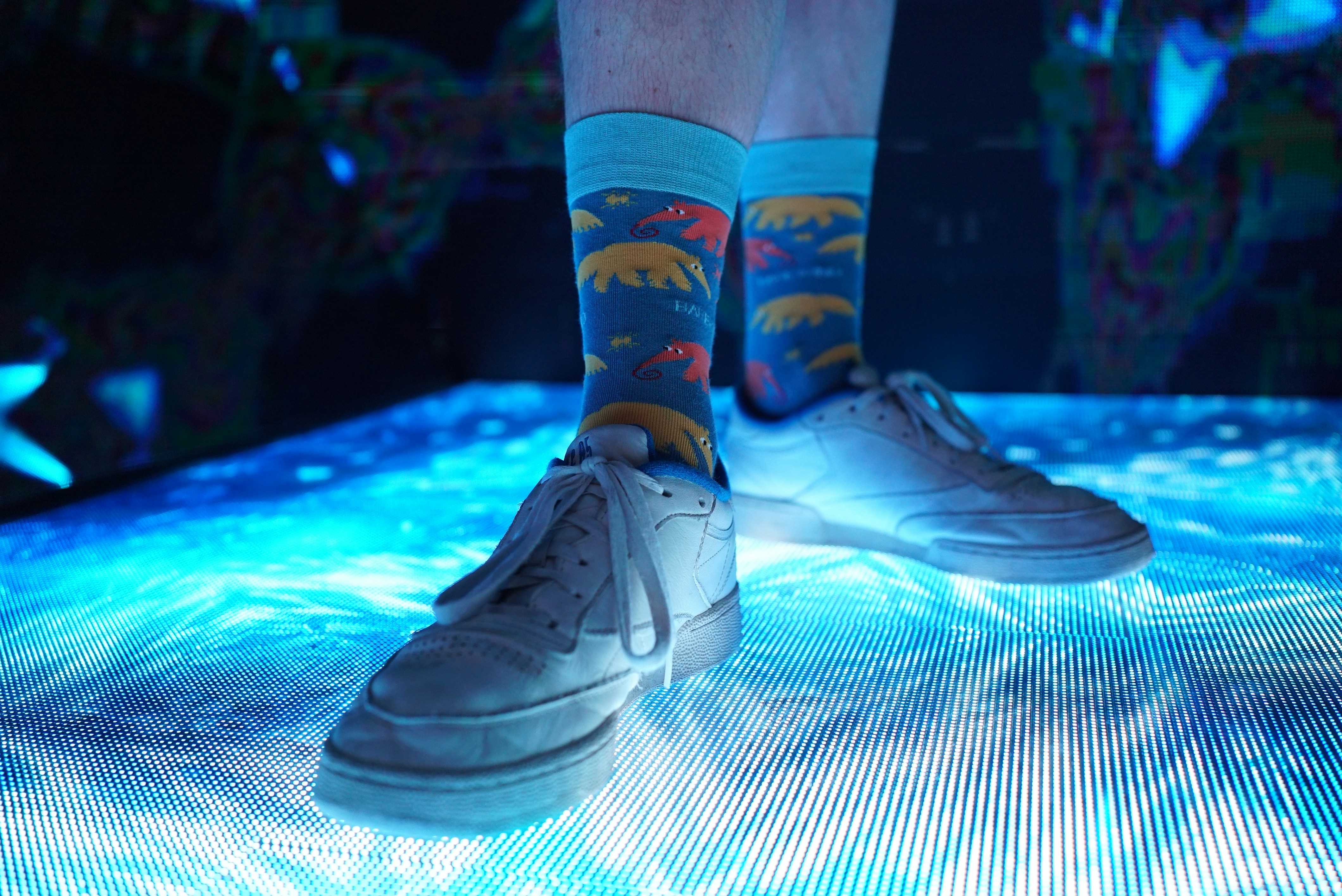Neon Floor Waltz: White Sneakers Step Across a Blue-Glowing Stage