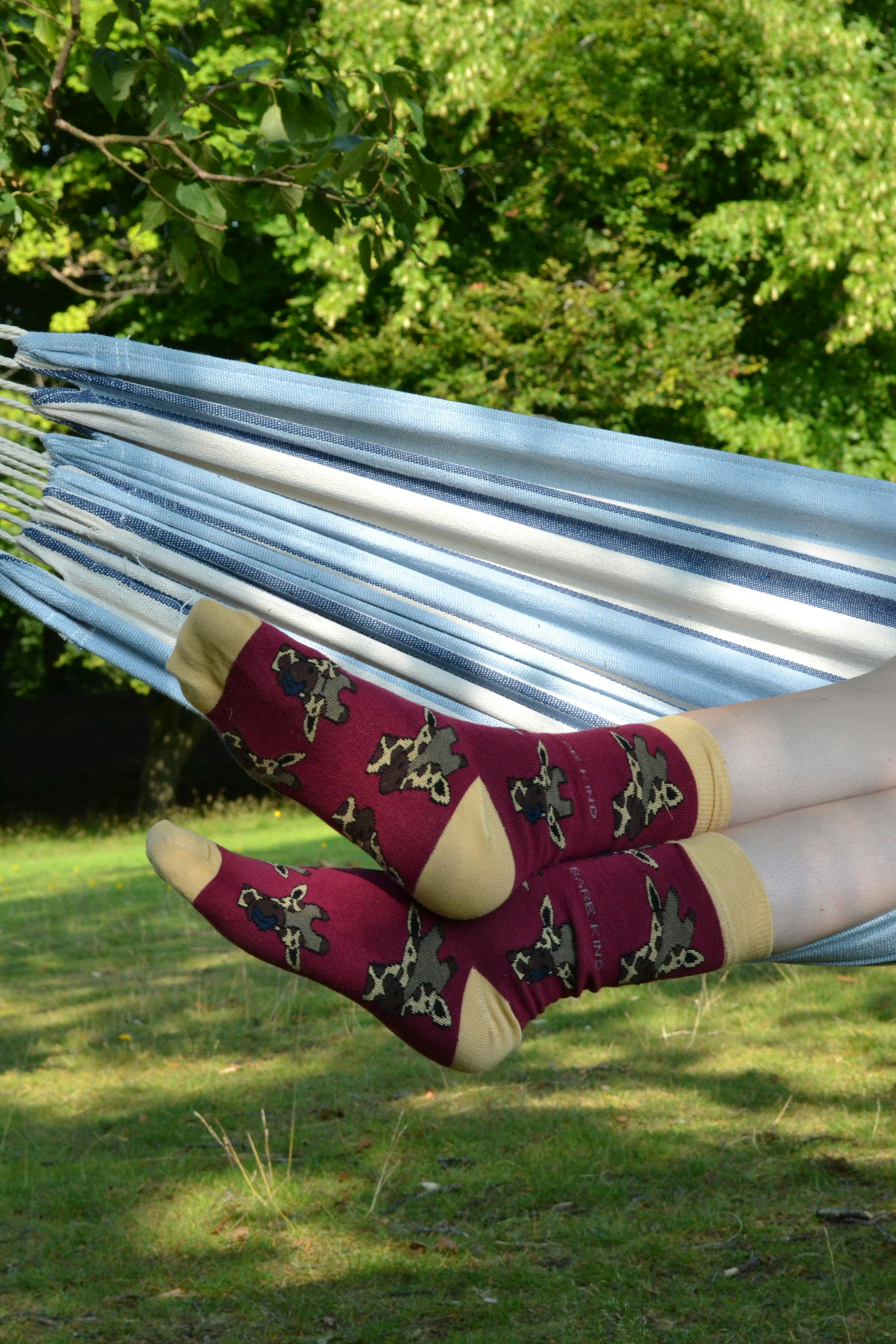 Burgundy Socks on a Hammock: A Quiet Backyard Moment