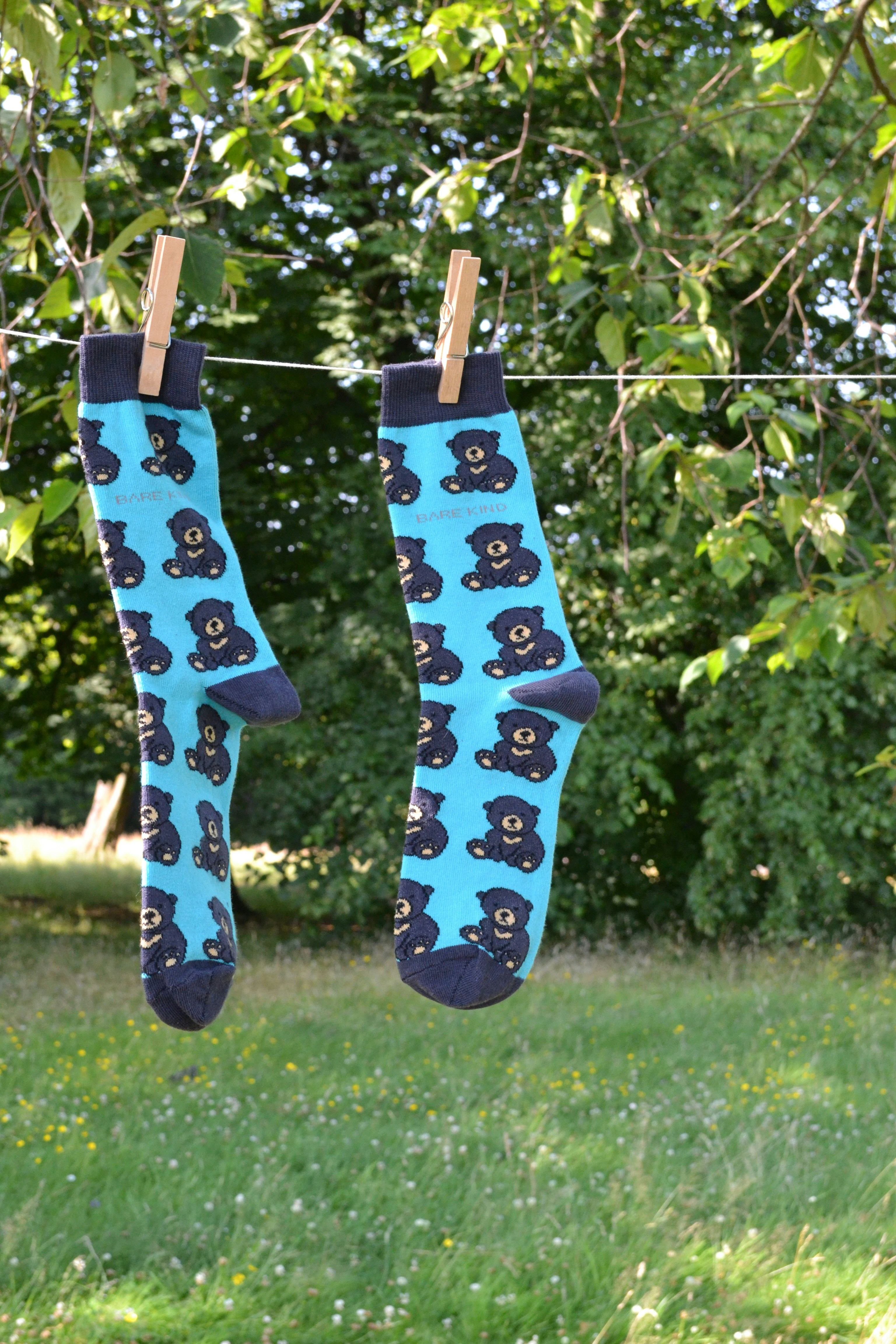 Blue Bear Socks on a Sunlit Clothesline: A Quiet Backyard Moment