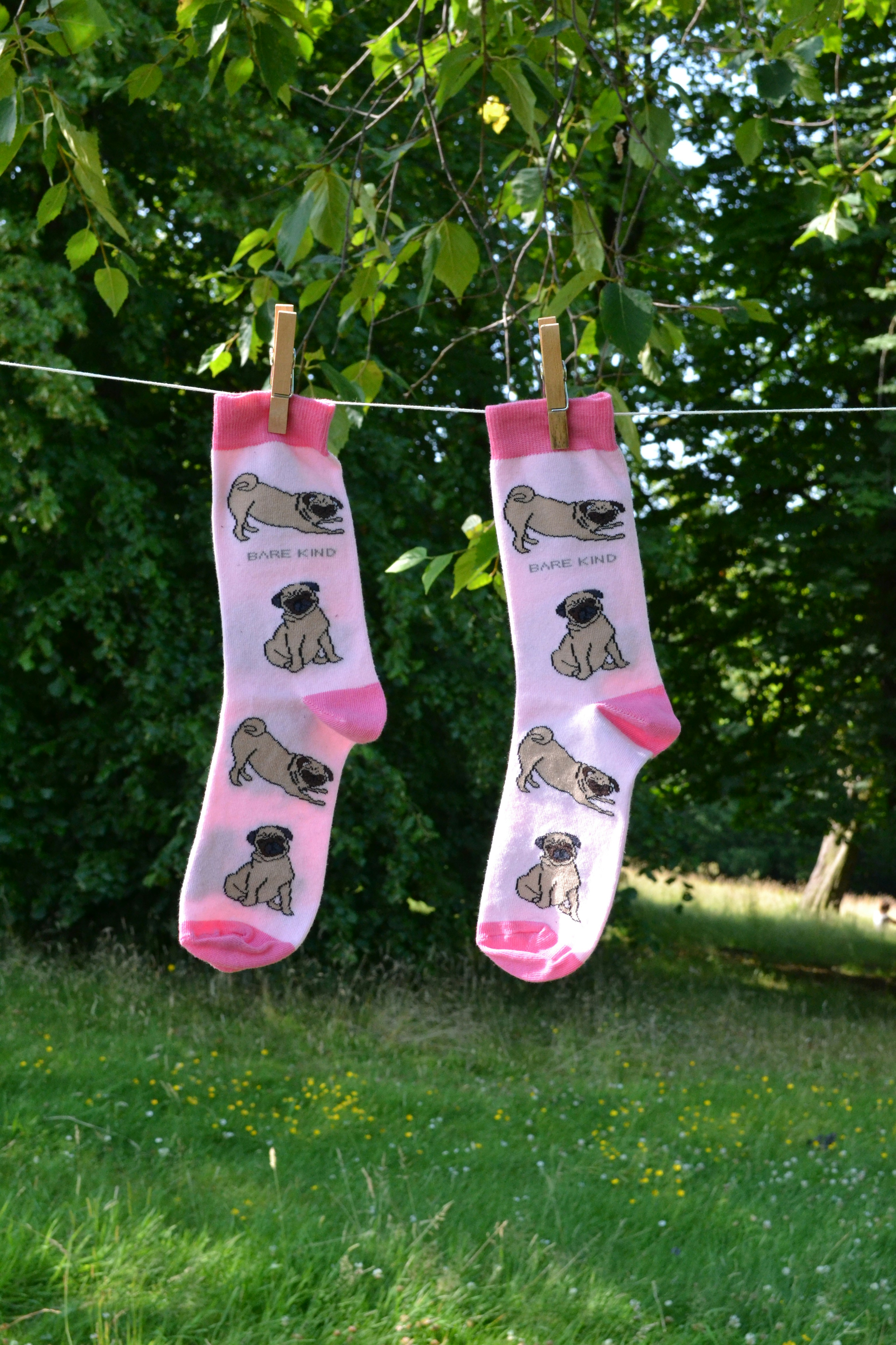 Sunlit Pink Socks: Puppy's Playful Prints on a Clothesline