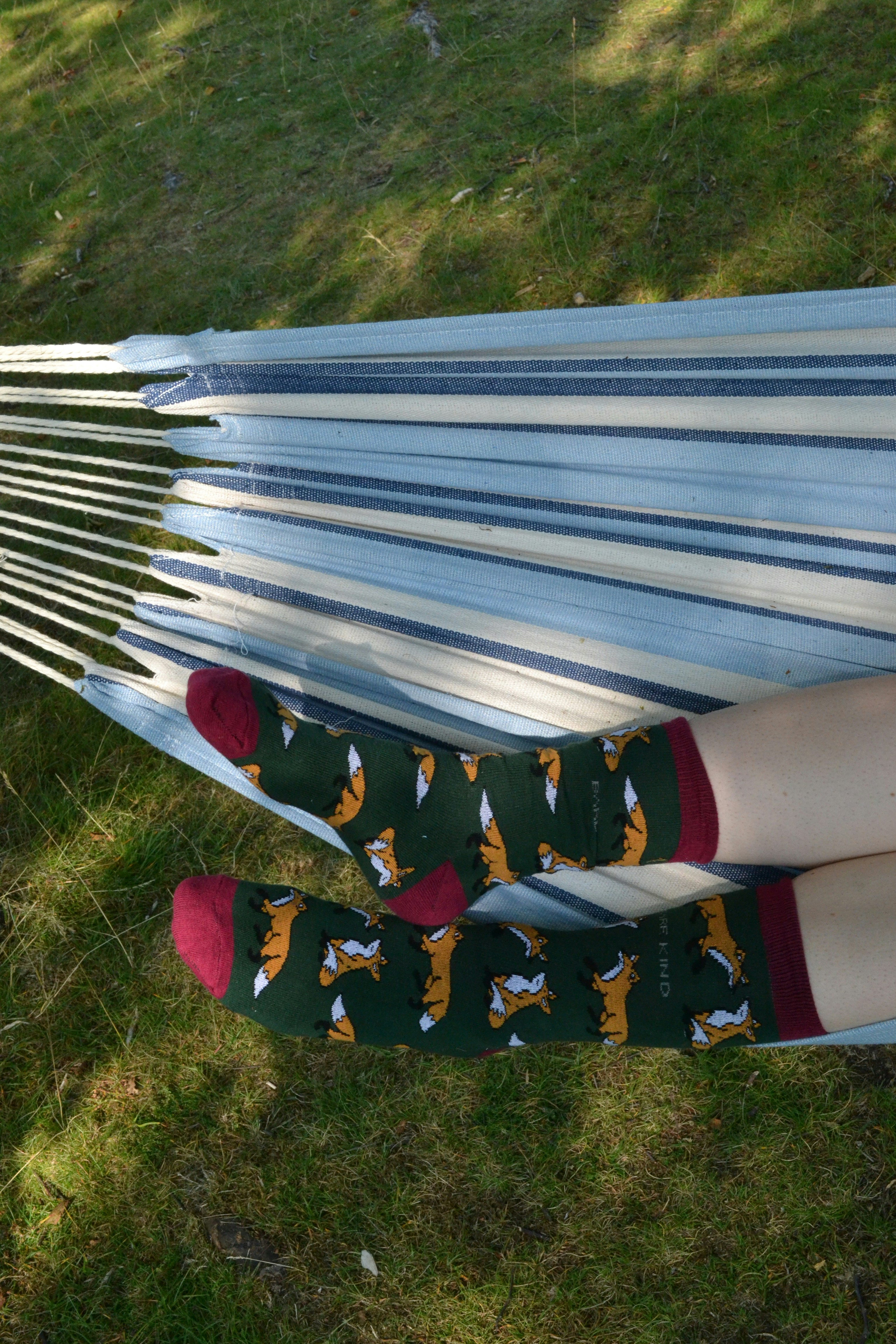 Foxy Socks in the Hammock: A Quiet Yard Moment