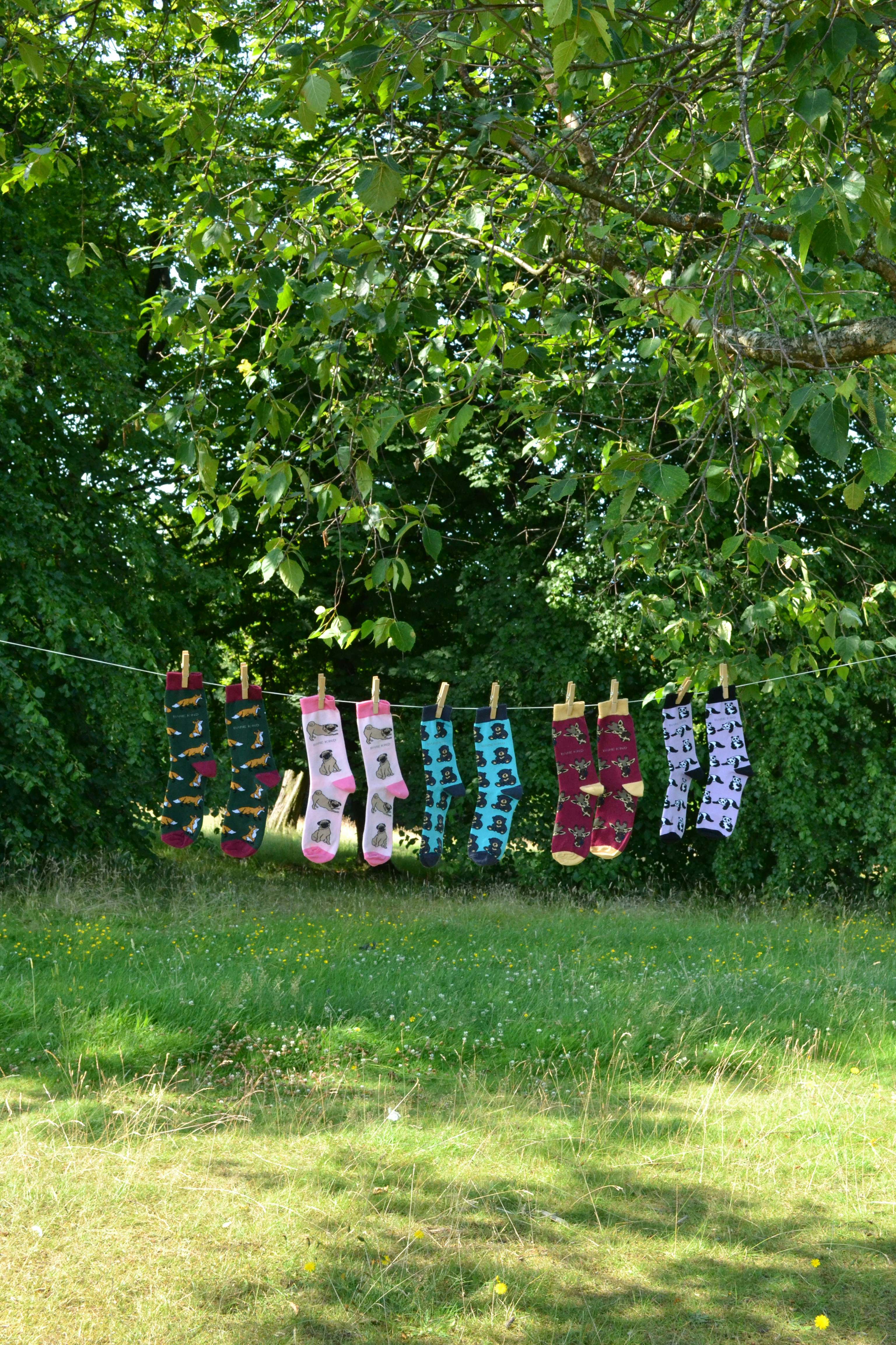 Kaleidoscope Socks Drape: A Sunlit Clothesline Under Green Canopy