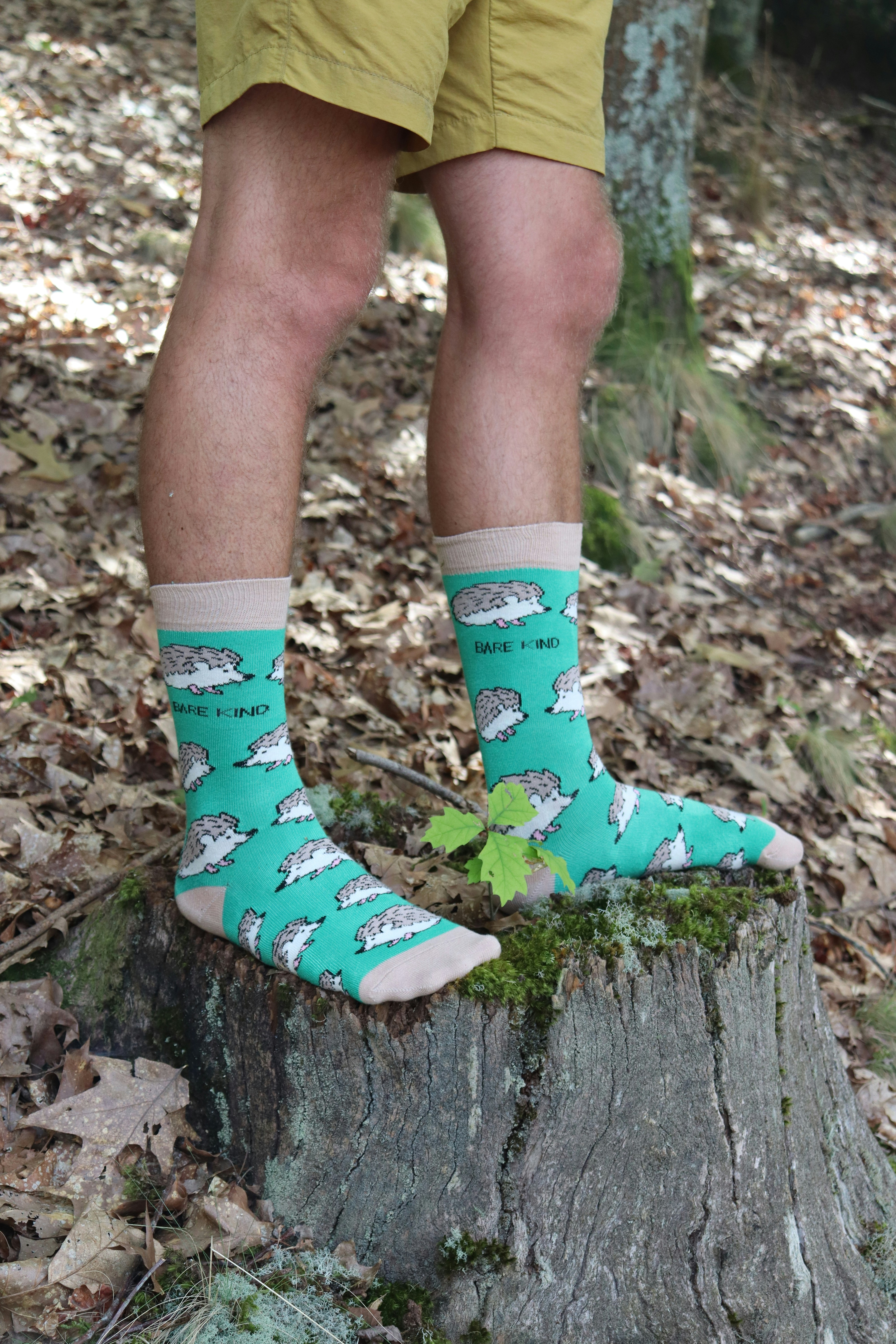 Forest Platform: Socks with Sheep on a Stump