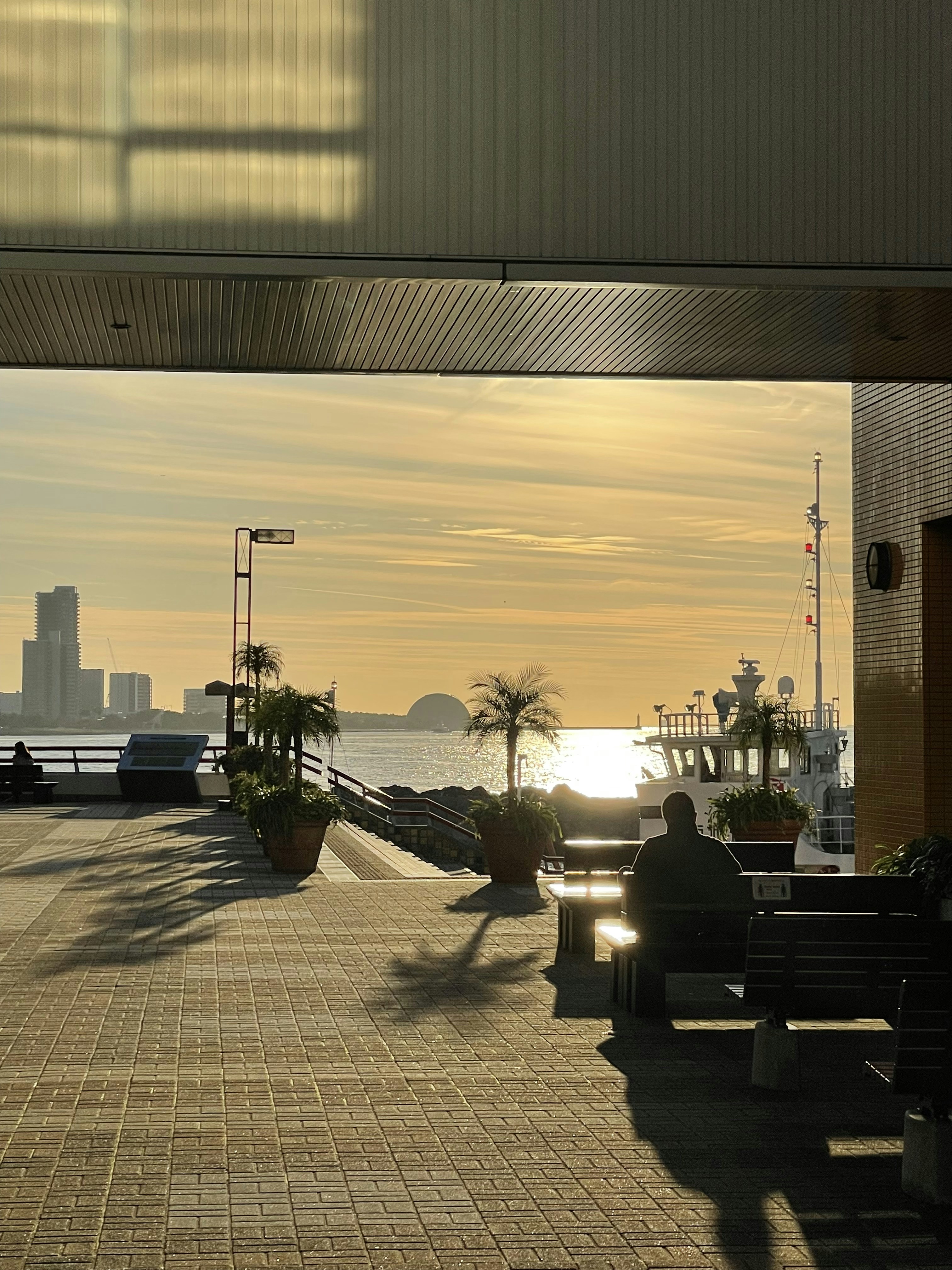 Sunlit Marina Promenade at Golden Hour