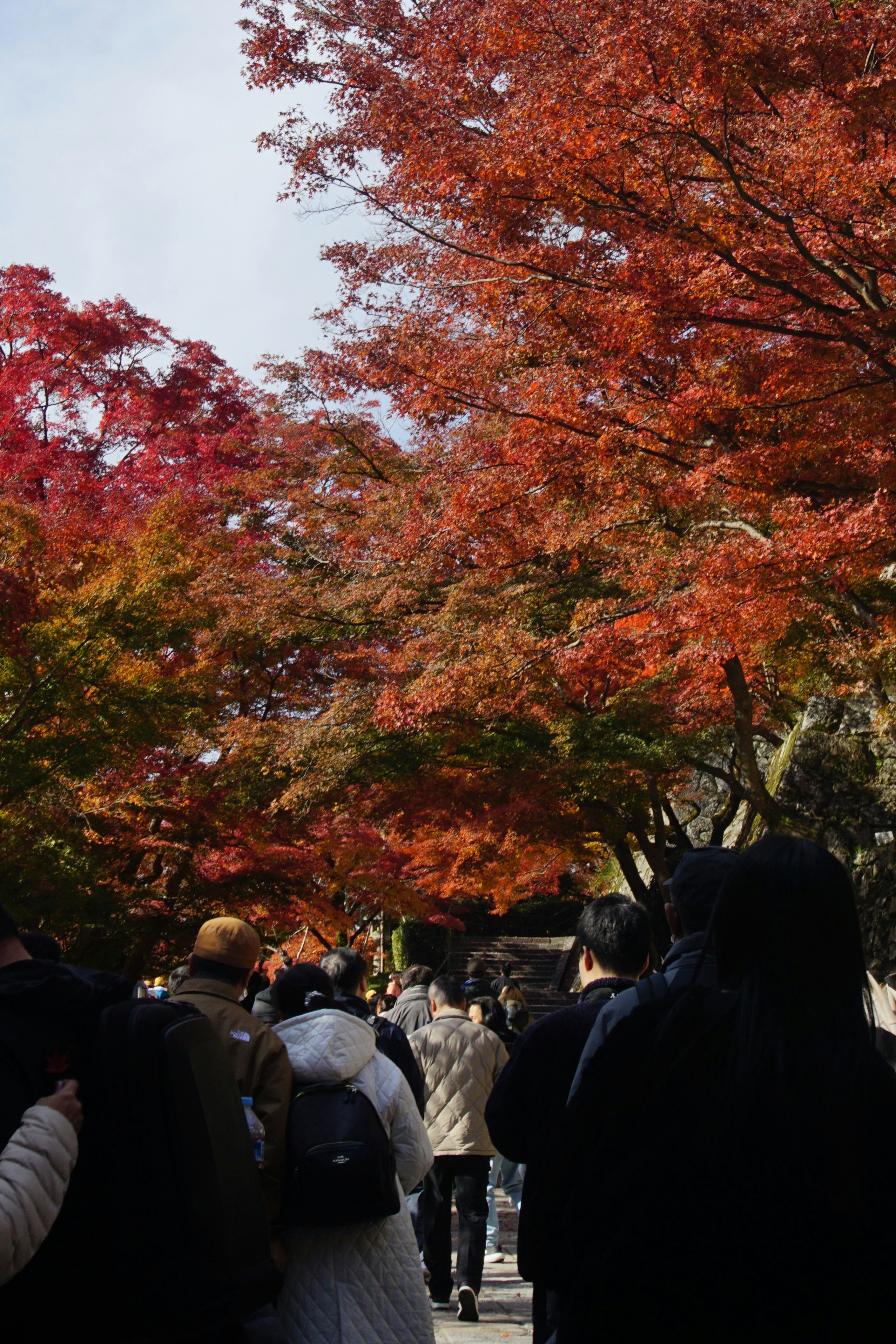 Photo by Syadza Salsabyla with Sony Alpha 6000