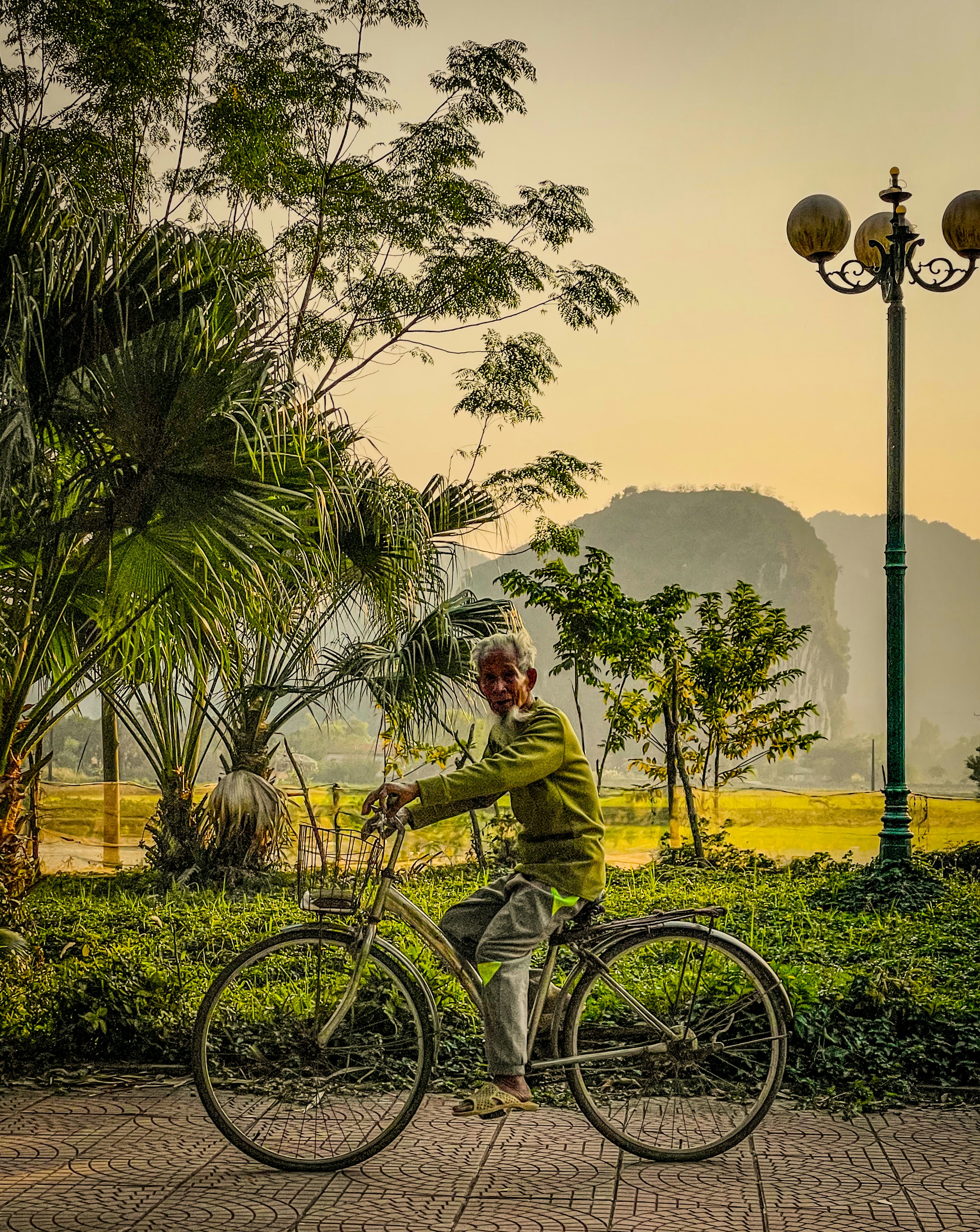 An elderly man wearing a green shirt sits on a vintage bicycle on a paved walkway, surrounded by lush greenery and palm trees. A lamppost stands nearby, with mountains and a golden field visible in the background.