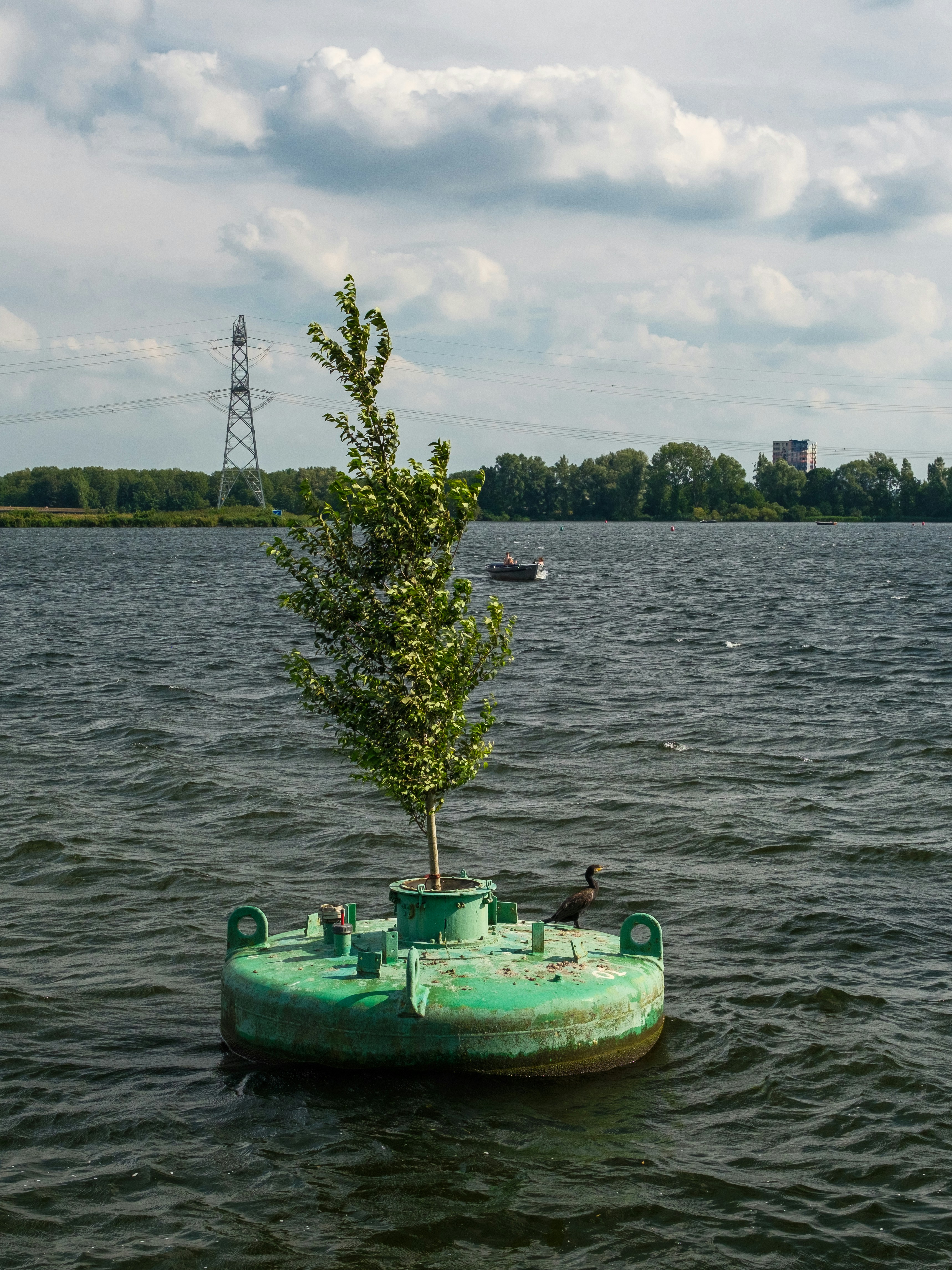 Green buoy with a sapling: a lone vegetation island rises from a windy lake
