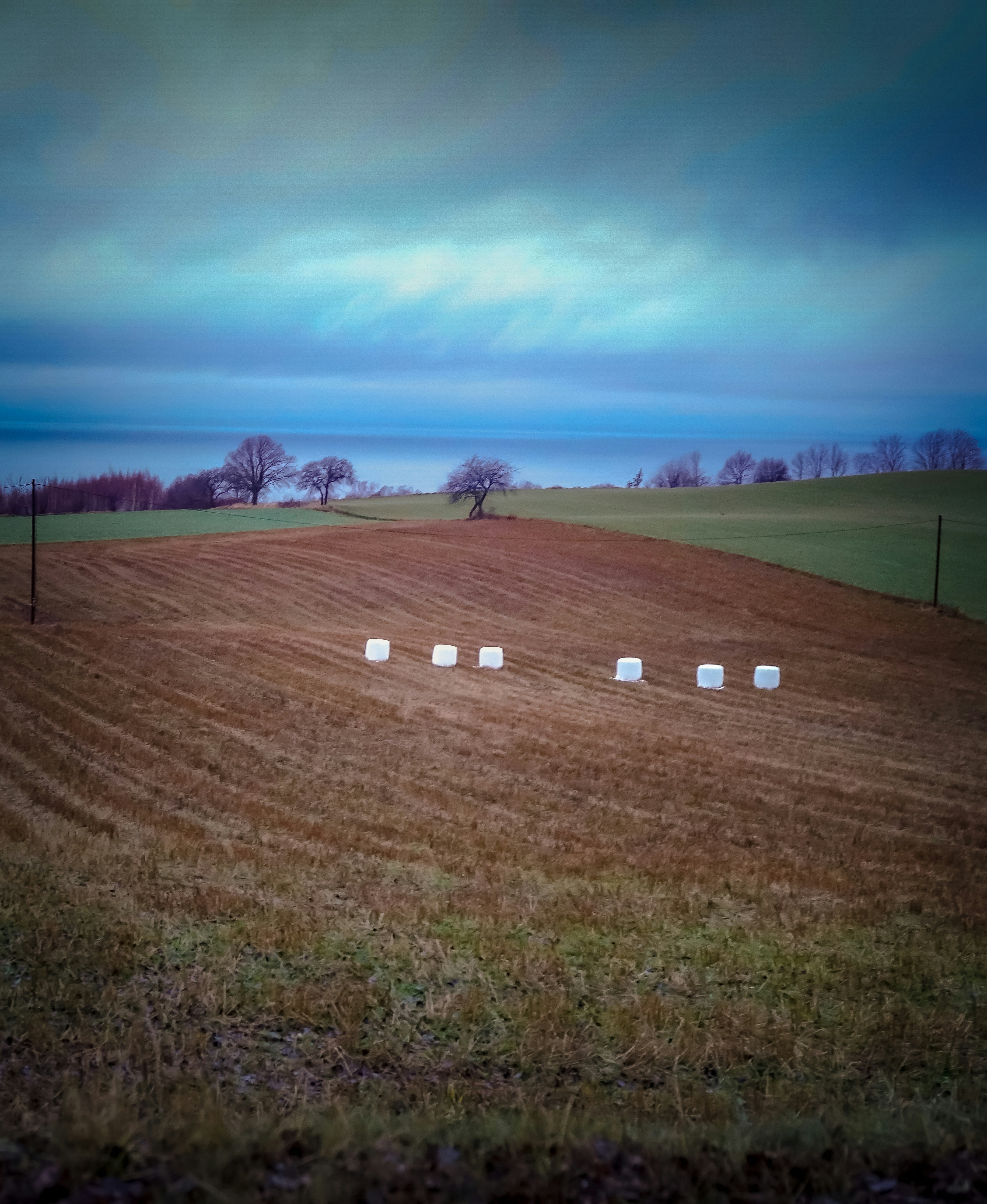 A field with hay bales in the middle of it