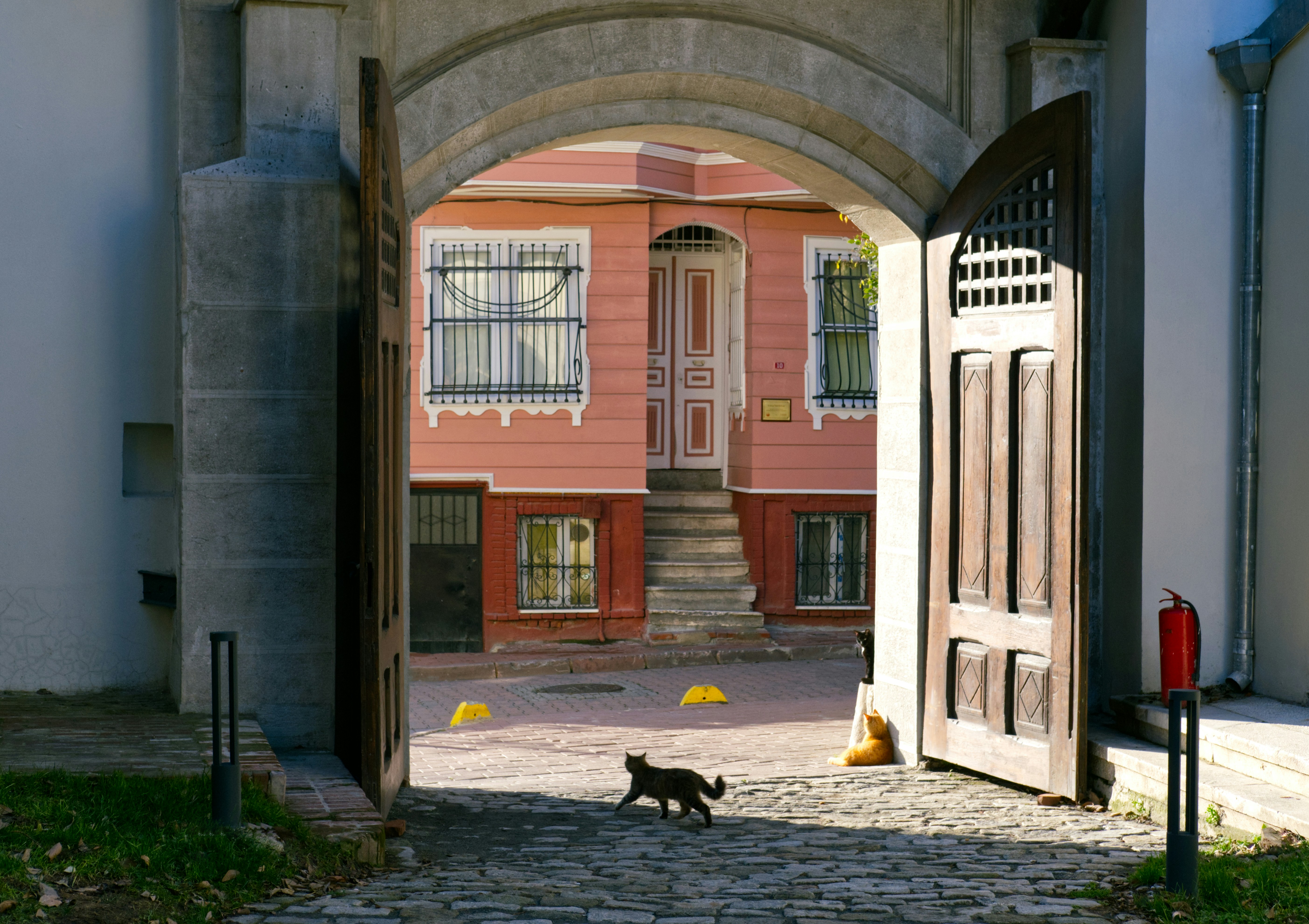 Cat in the Cobblestone Arch: Threshold to a Pastel Facade