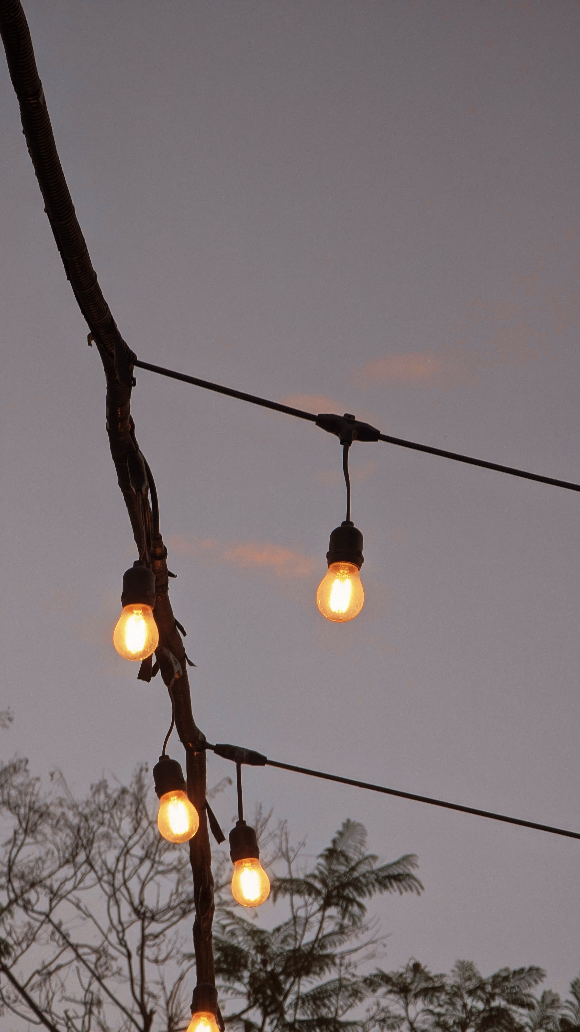 Sample photo from Google Pixel 6 Pro