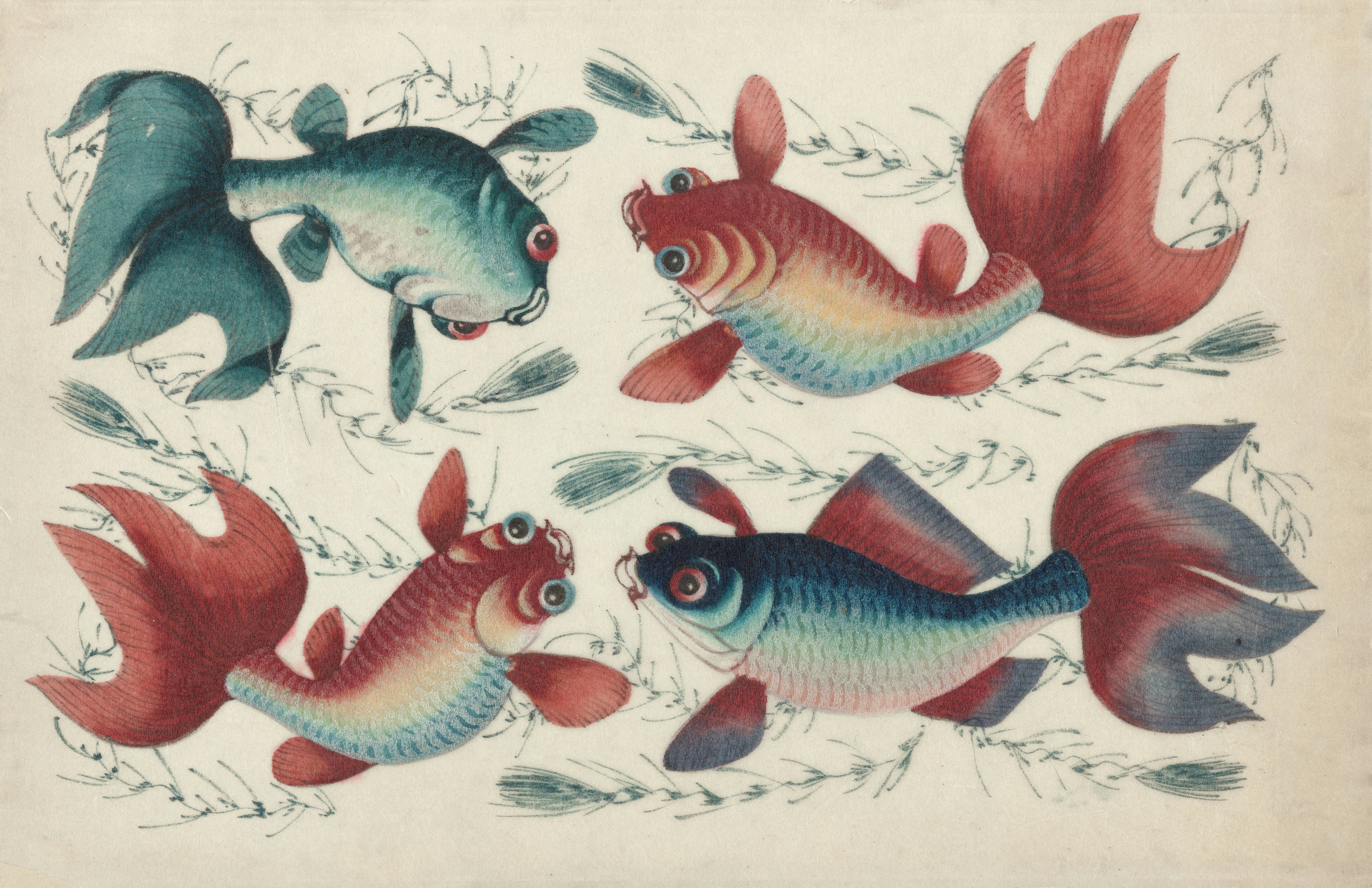 Un groupe de poissons nageant les uns à côté des autres photo – Image ...