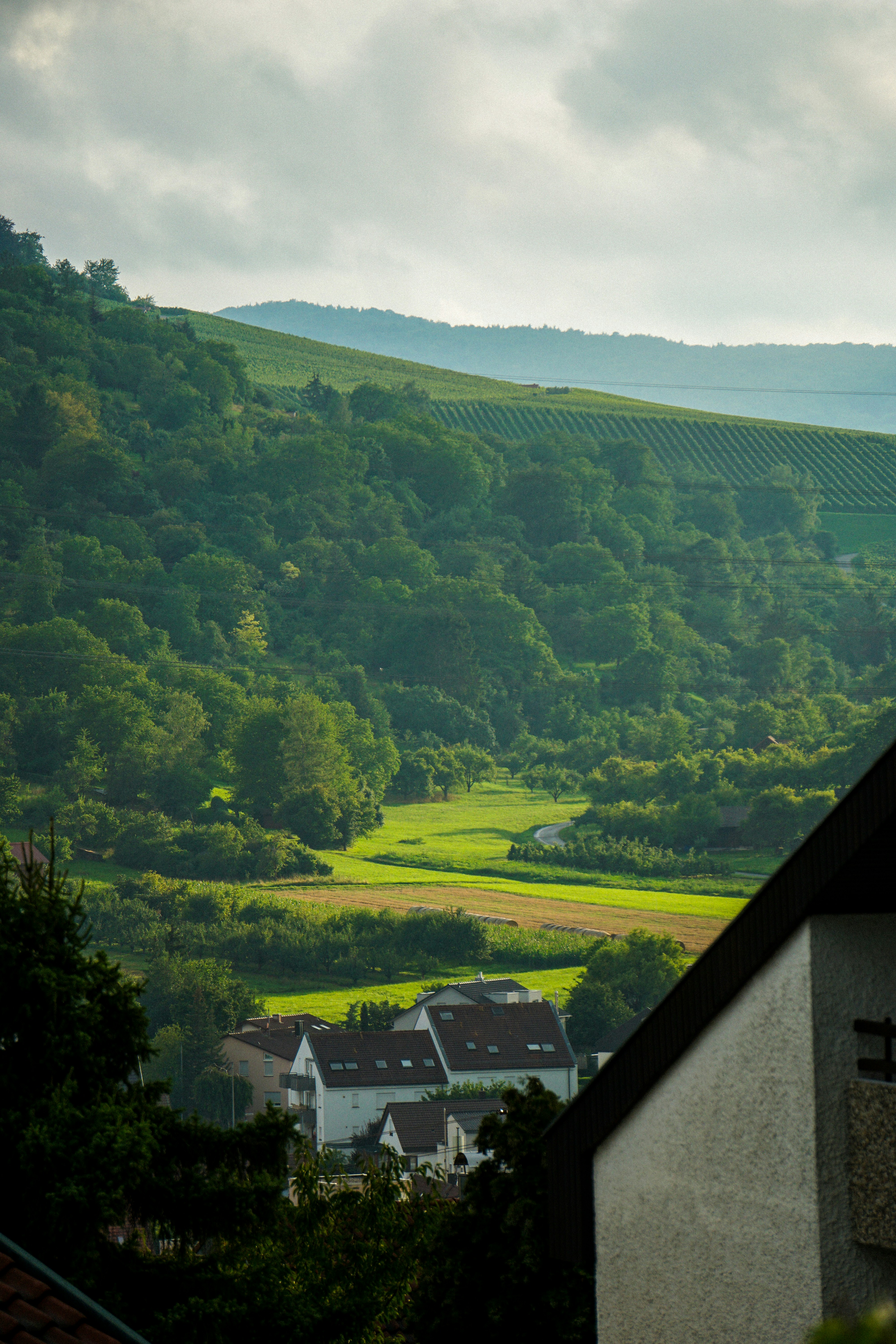 Photo by Maheshkumar Painam with Sony Alpha 6000