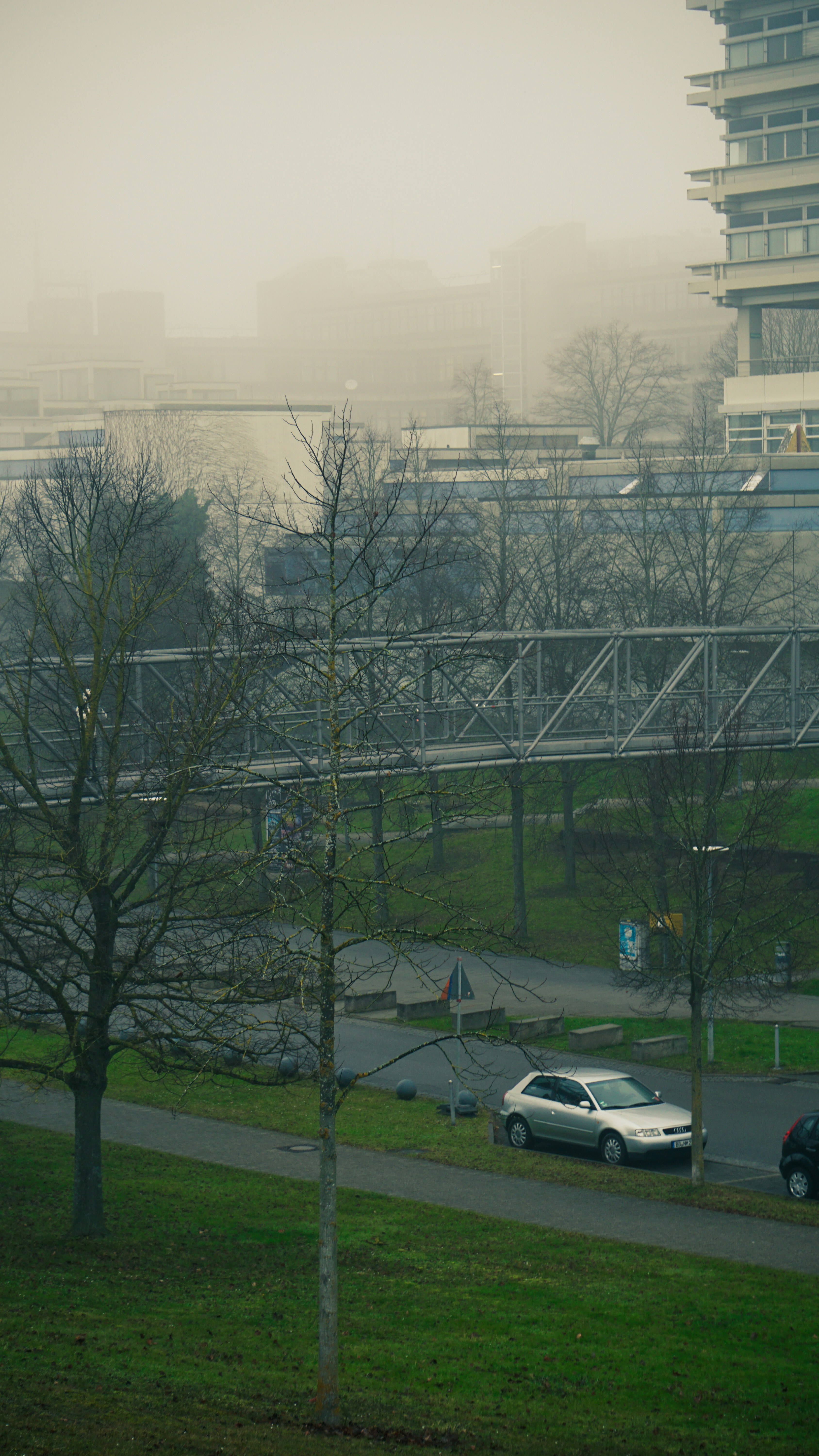 Photo by Maheshkumar Painam with Sony Alpha 6000