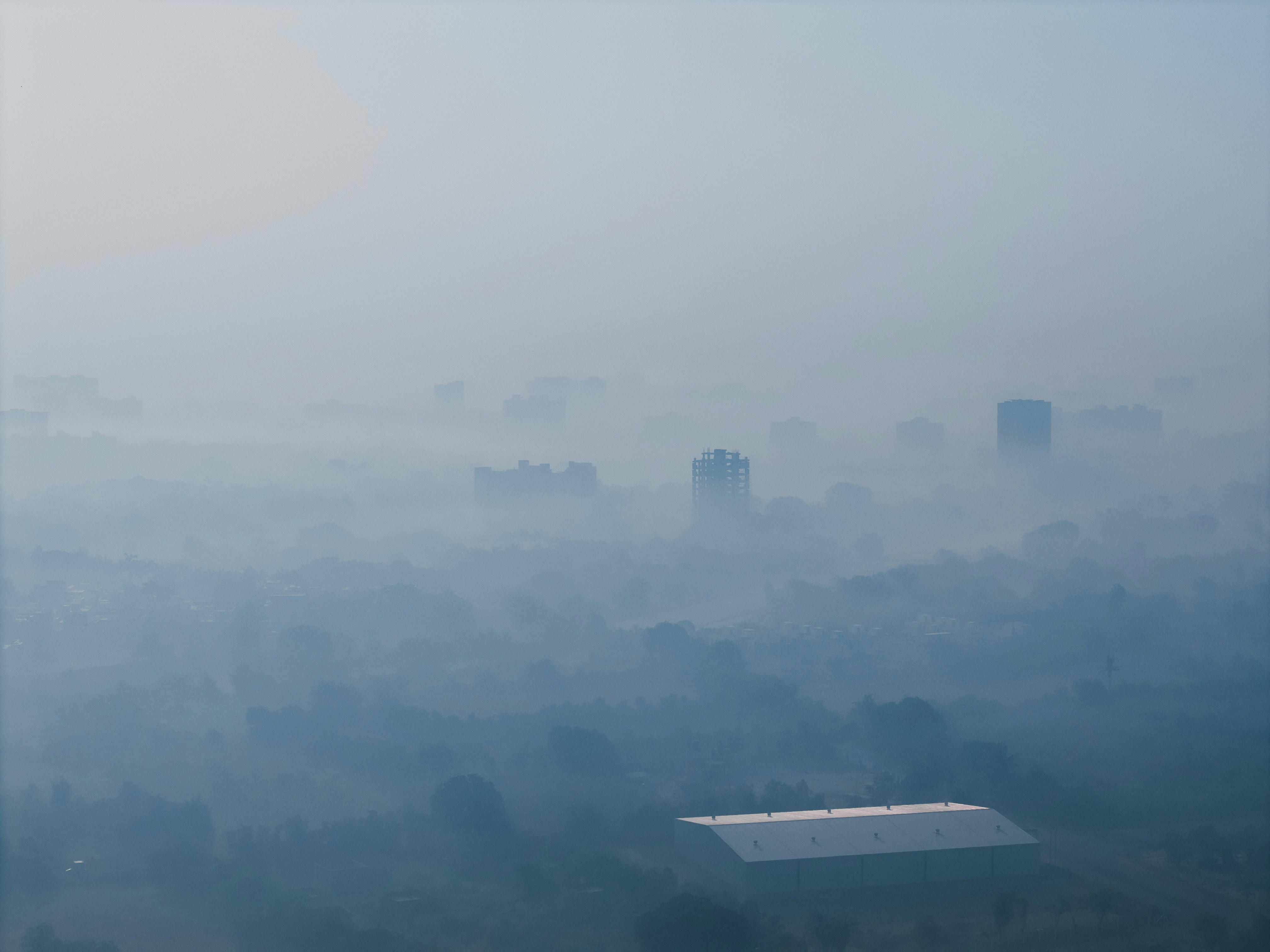 A distant cityscape shrouded in dense fog, with silhouettes of buildings barely visible against the muted backdrop. The scene evokes a sense of mystery and tranquility.