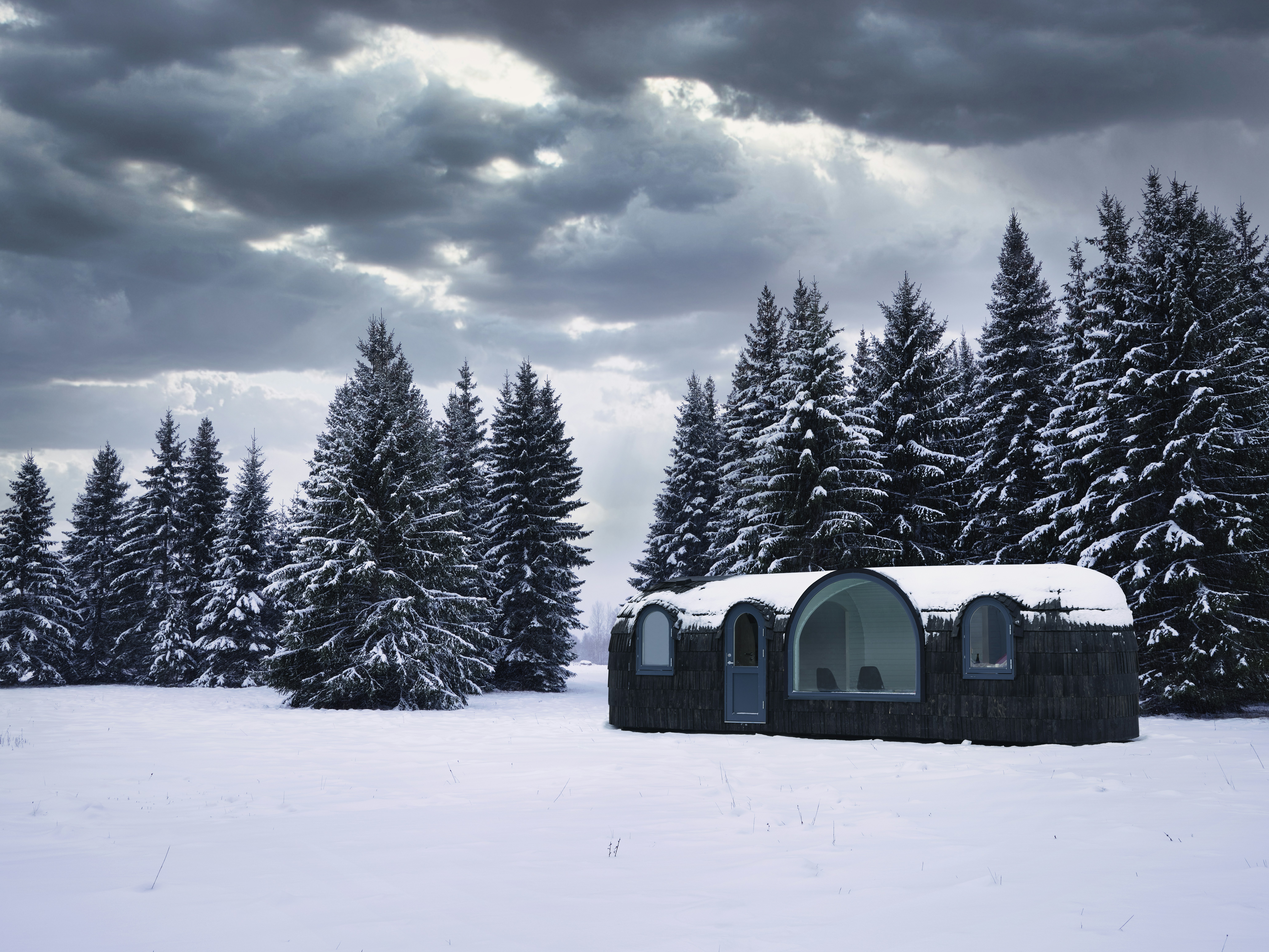 Curved Glass Cabin in a Snow-Blanketed Pines Clearing