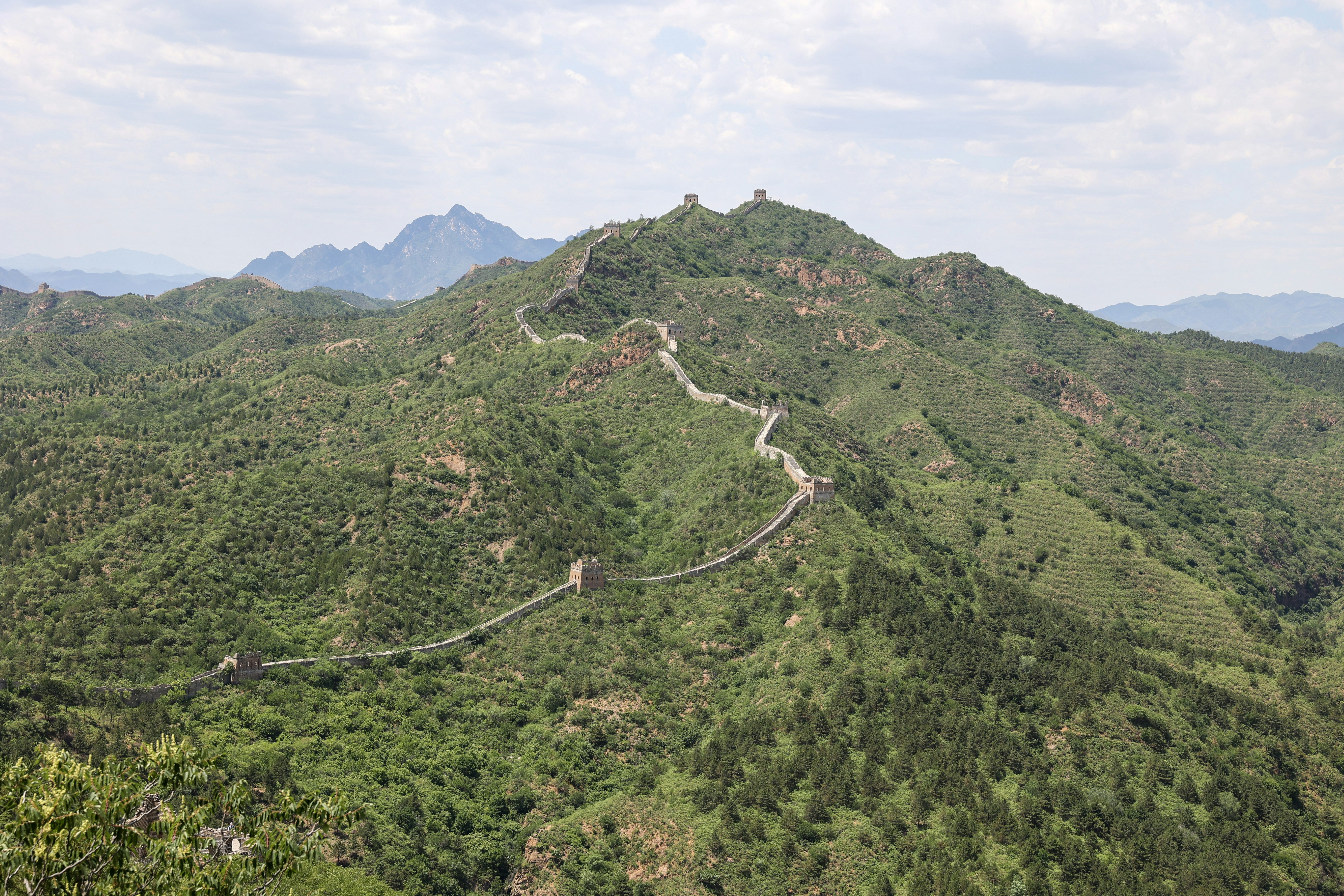 Green Spine Along the Ridge: The Great Wall's Quiet Ascent