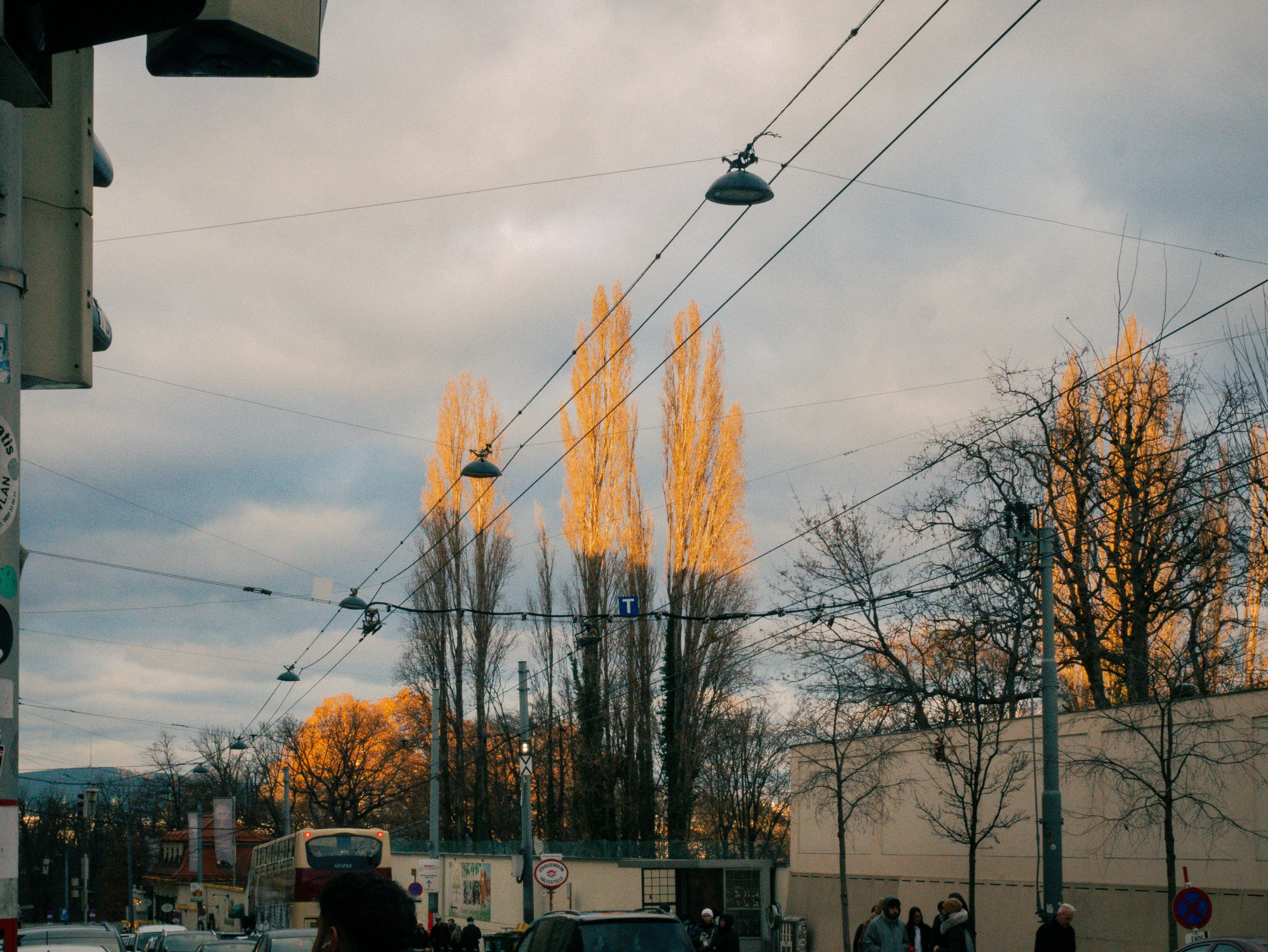Autumn-lit Avenue: Trees, Tram Wires, and Quiet Urban Motion