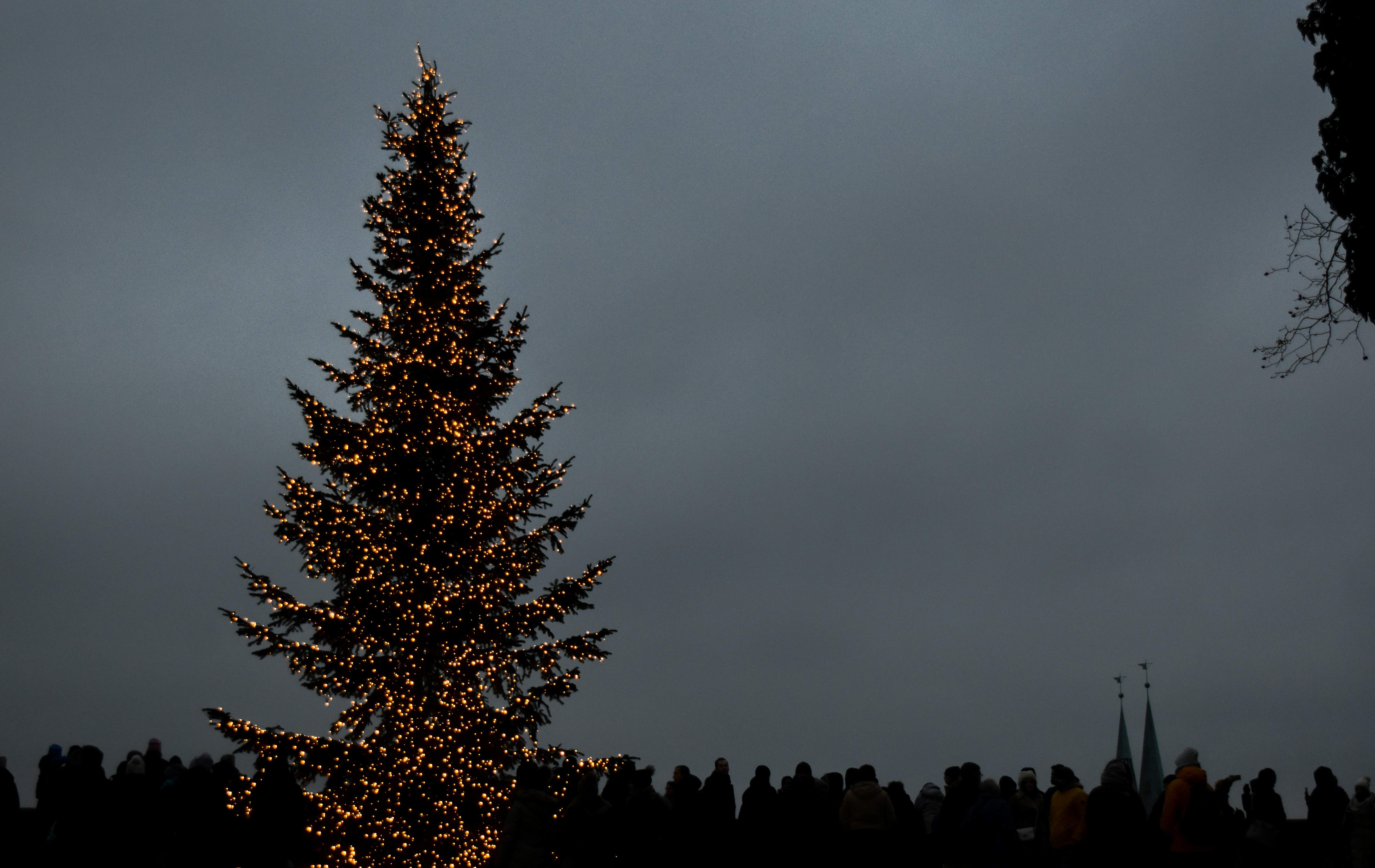 Glowing Tree Amid a Quiet Winter Crowd