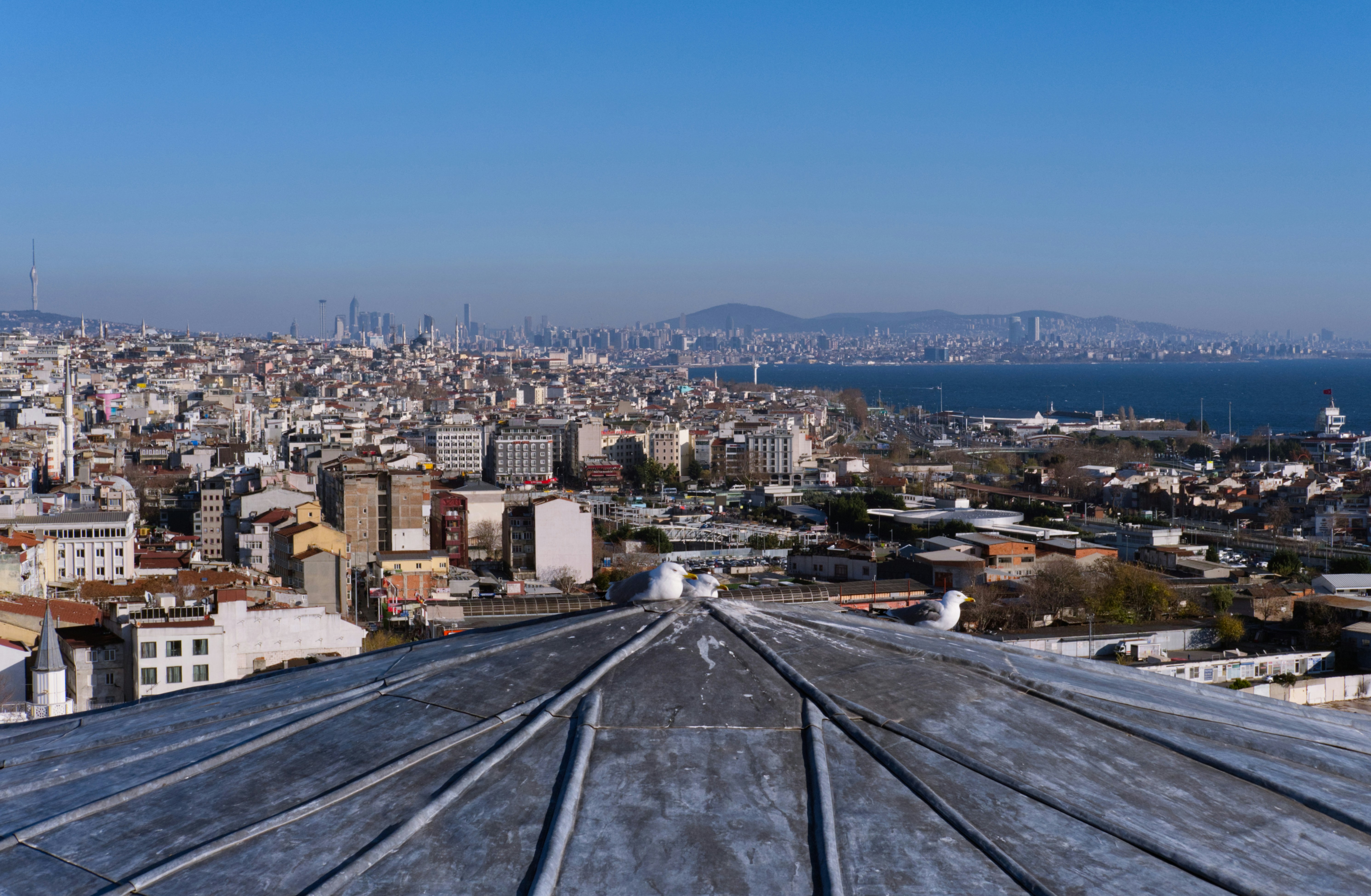 Convergence of Rails Toward the Bay: A Rooftop Urban Vista