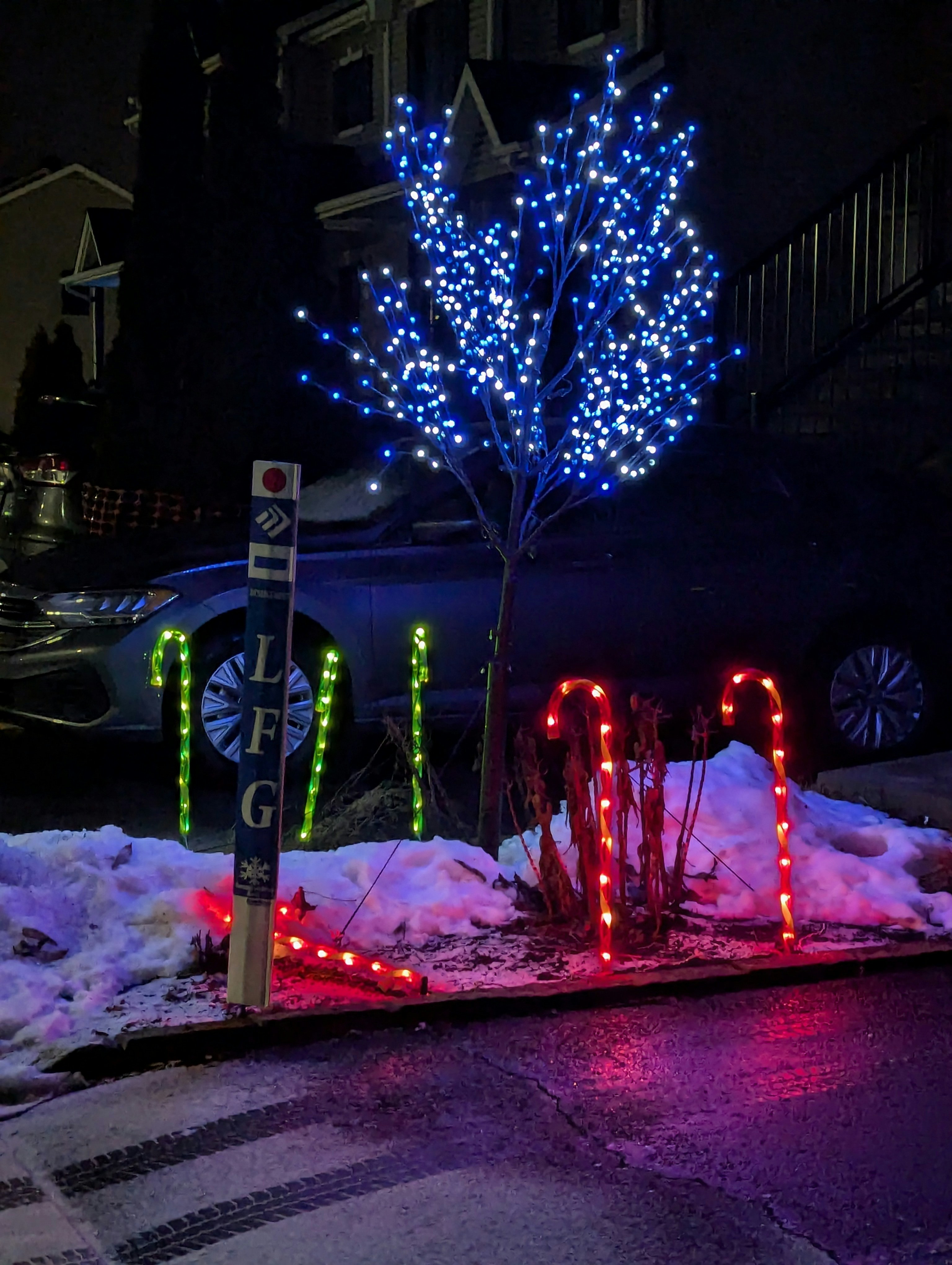 Blue-Lit Tree and Neon Candy Cane Lane