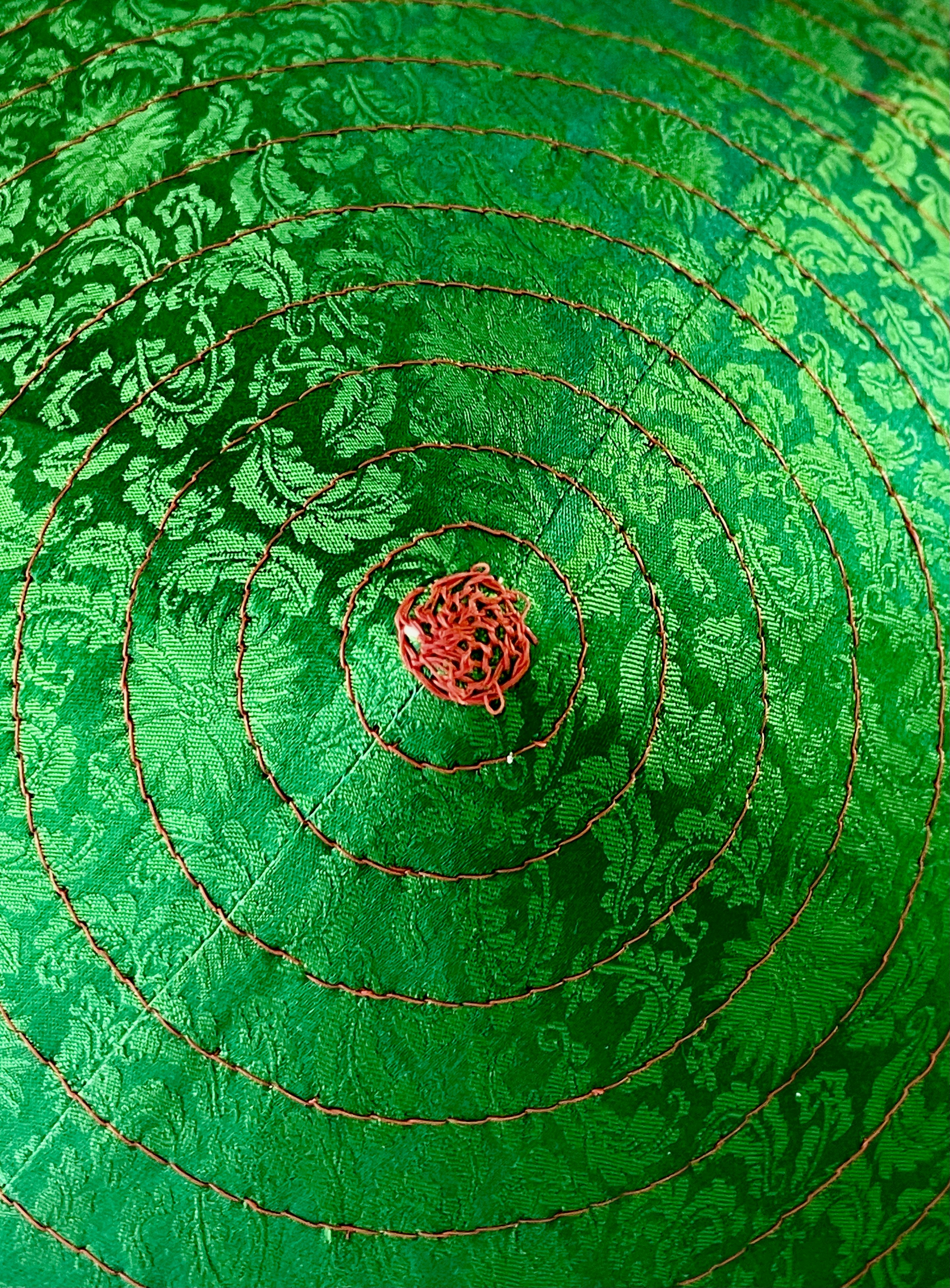 Crimson Knot at the Core of Emerald Circular Rings
