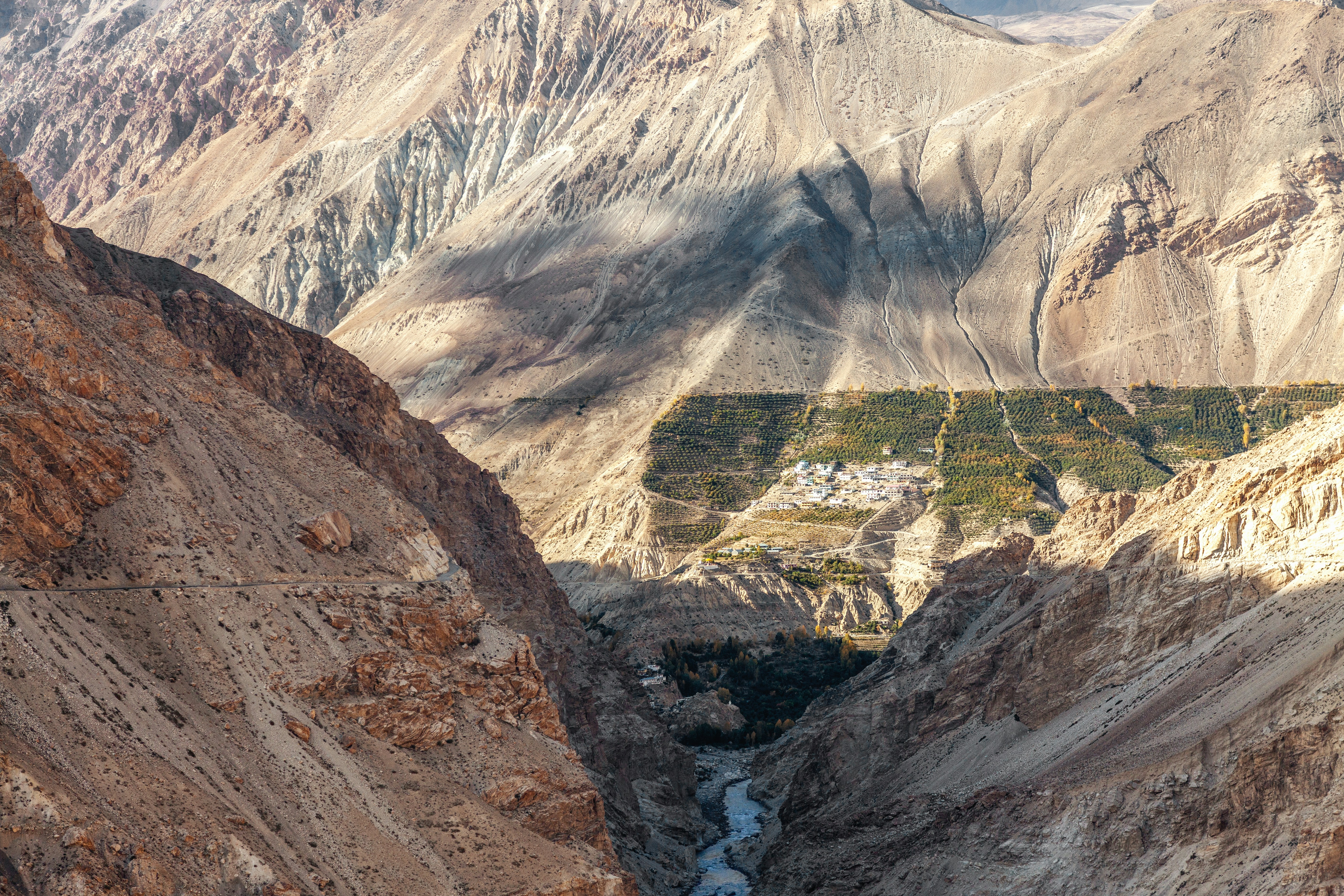 Hidden Oasis: Leo Village Amidst Rugged Himalayan Terrain