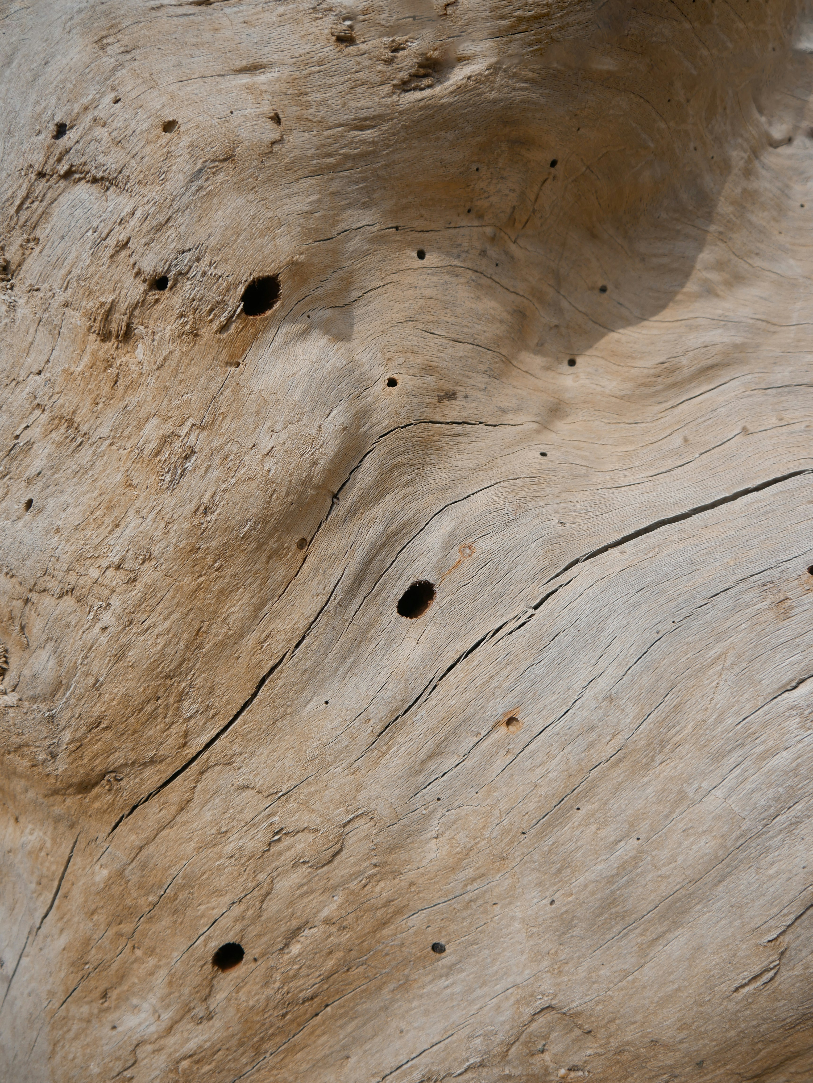 Sun-Warmed Texture: Flowing Lines and Pockmarks on Weathered Stone