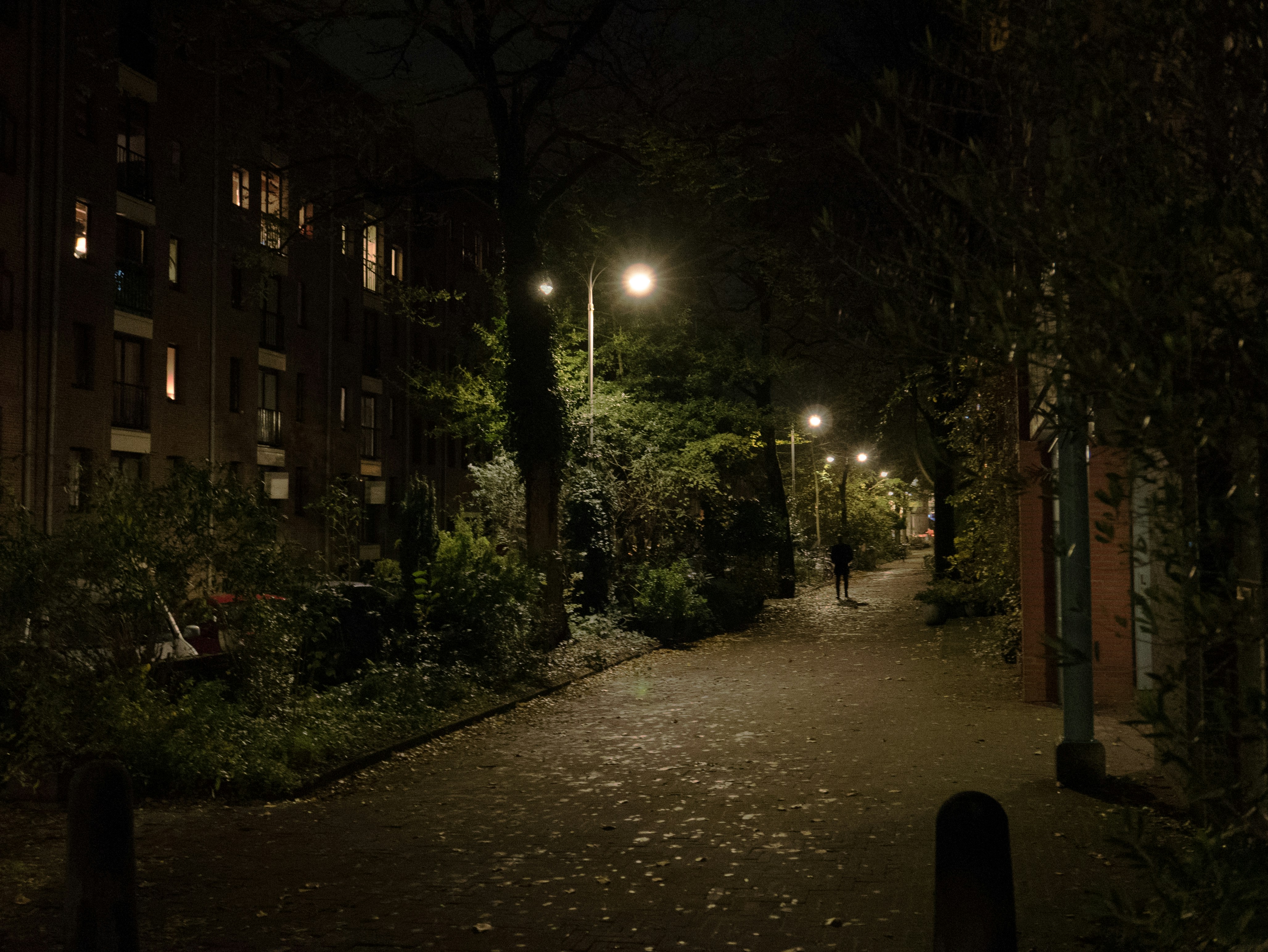 Dimly lit pathway lined with trees and buildings at night, featuring a solitary figure walking under street lamps. Leaves cover the ground.