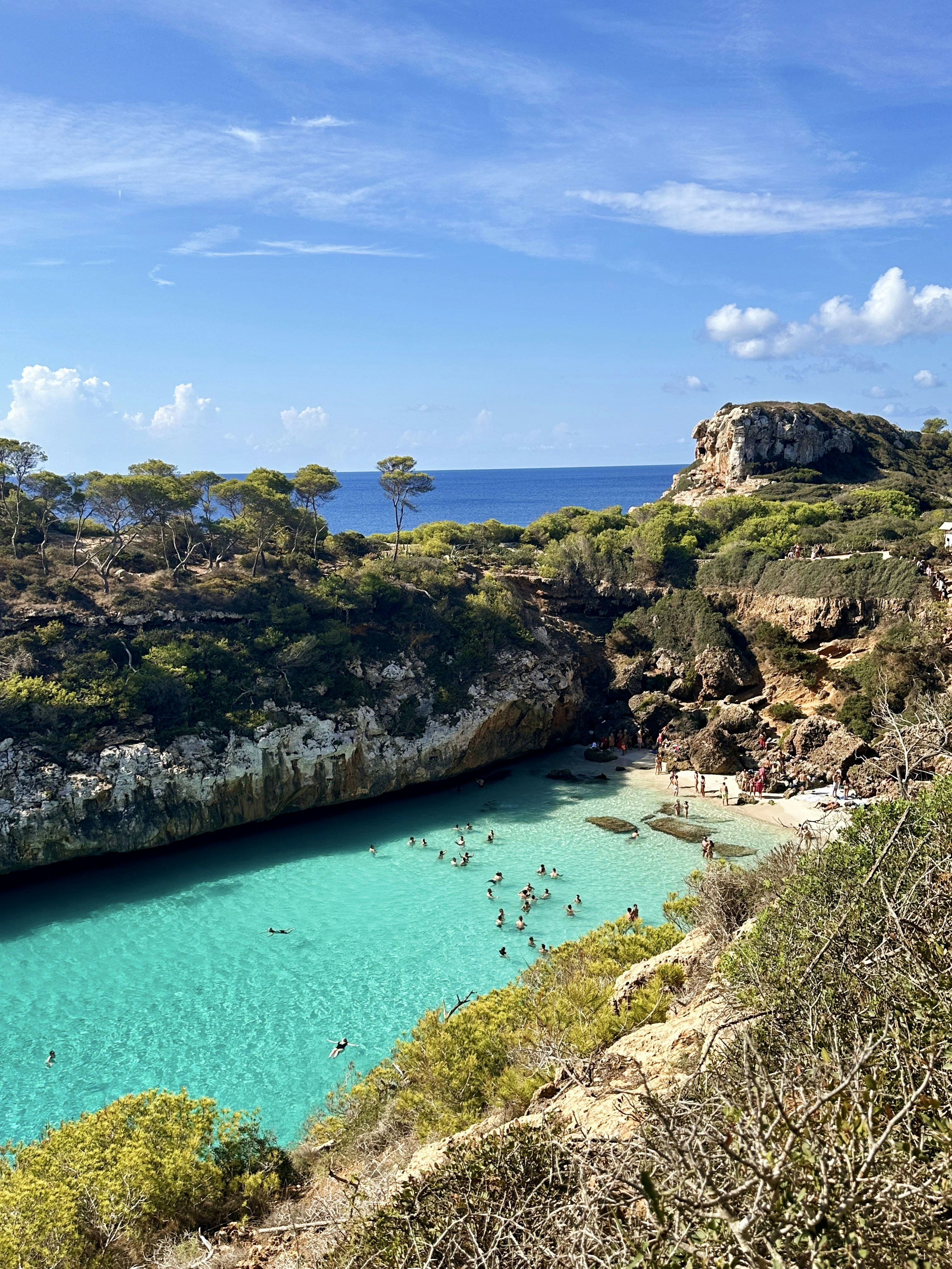 Un lagon bleu entouré d’arbres par une journée ensoleillée photo ...