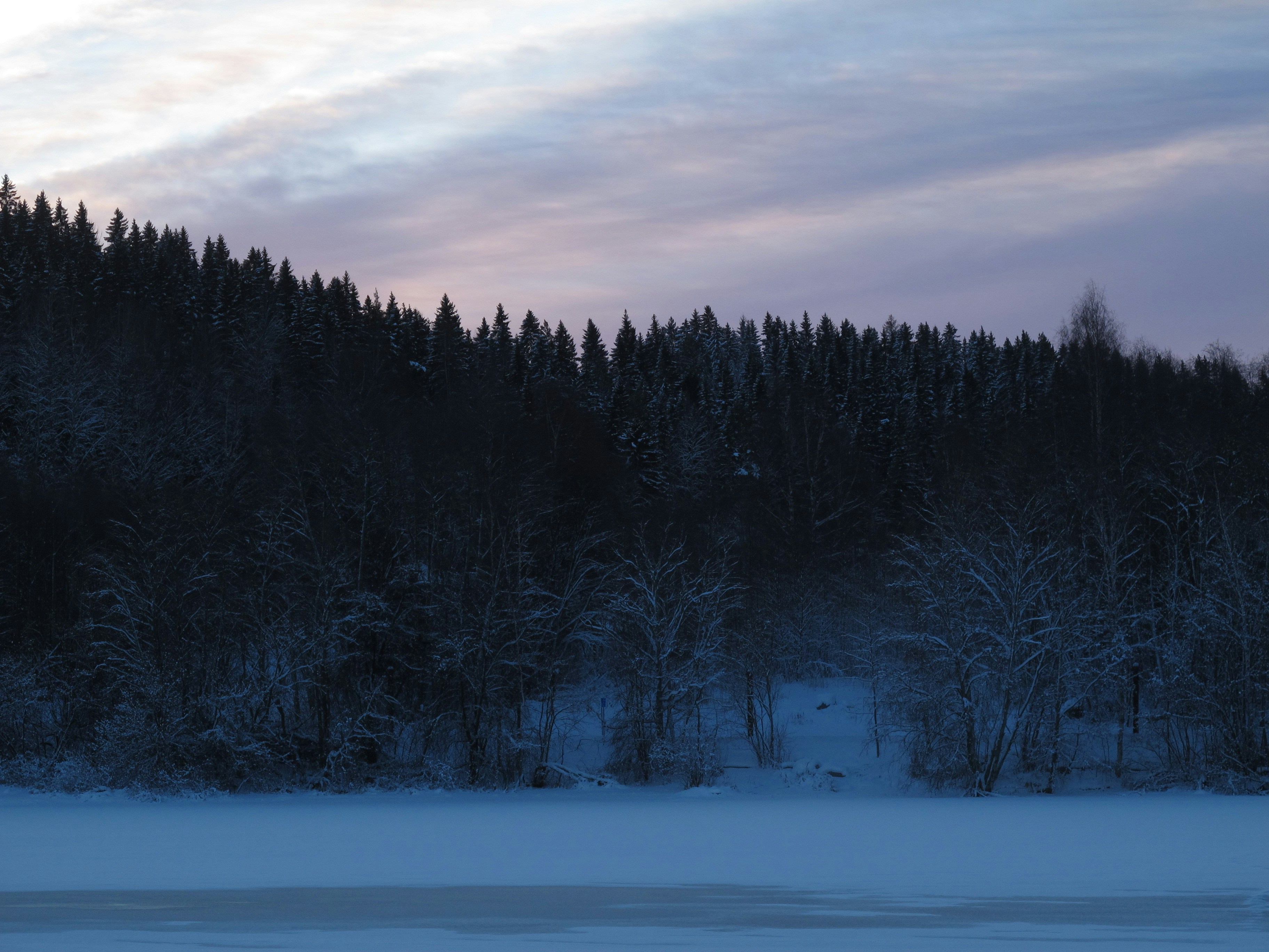 A snow covered field with a forest in the background photo – Free ...