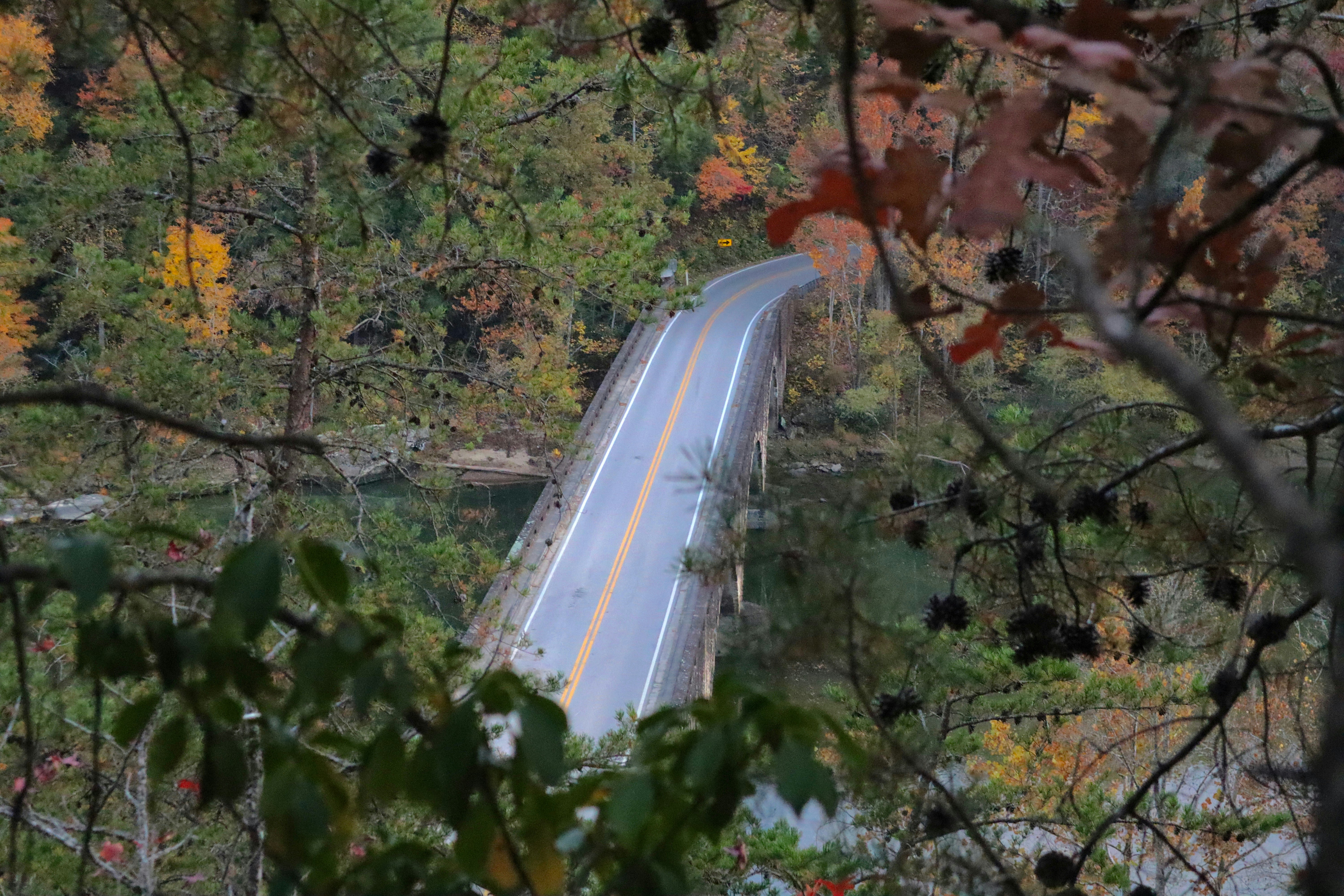 A car driving down a road surrounded by trees photo – Free Forest Image ...