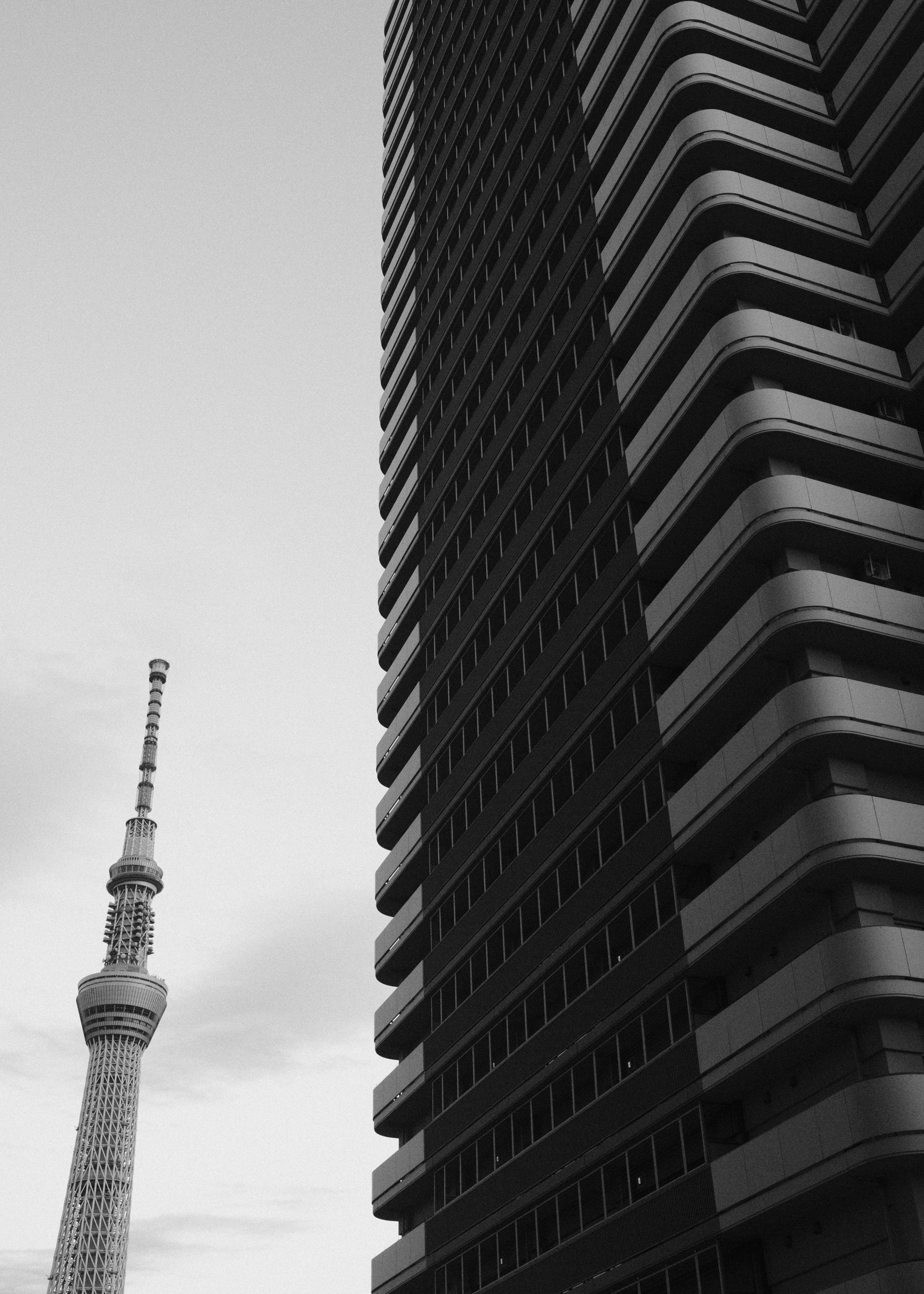 Ribbed Geometry and Tokyo's Spire