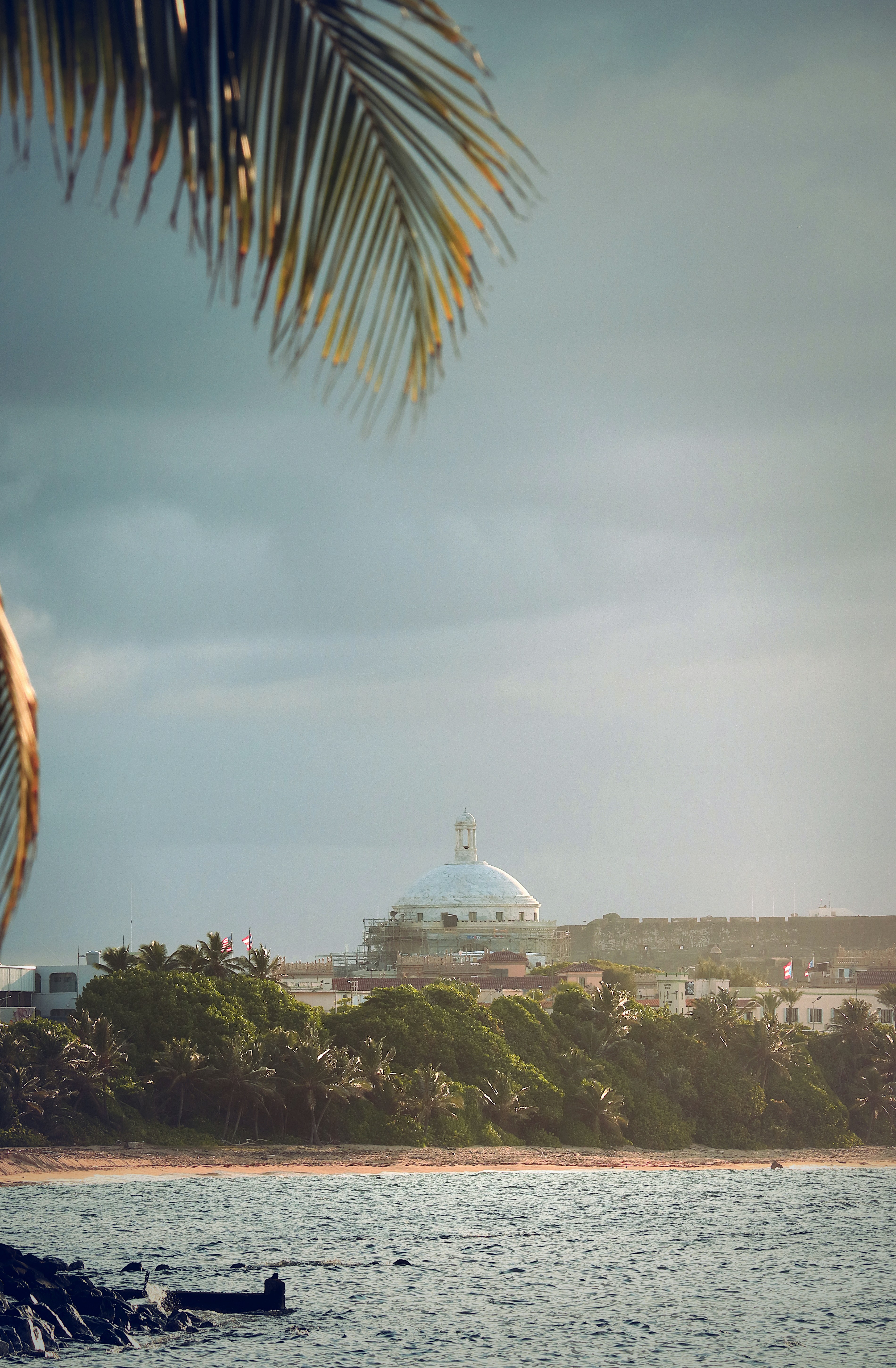 Dome on the Horizon: Palm-Fringed Coastline